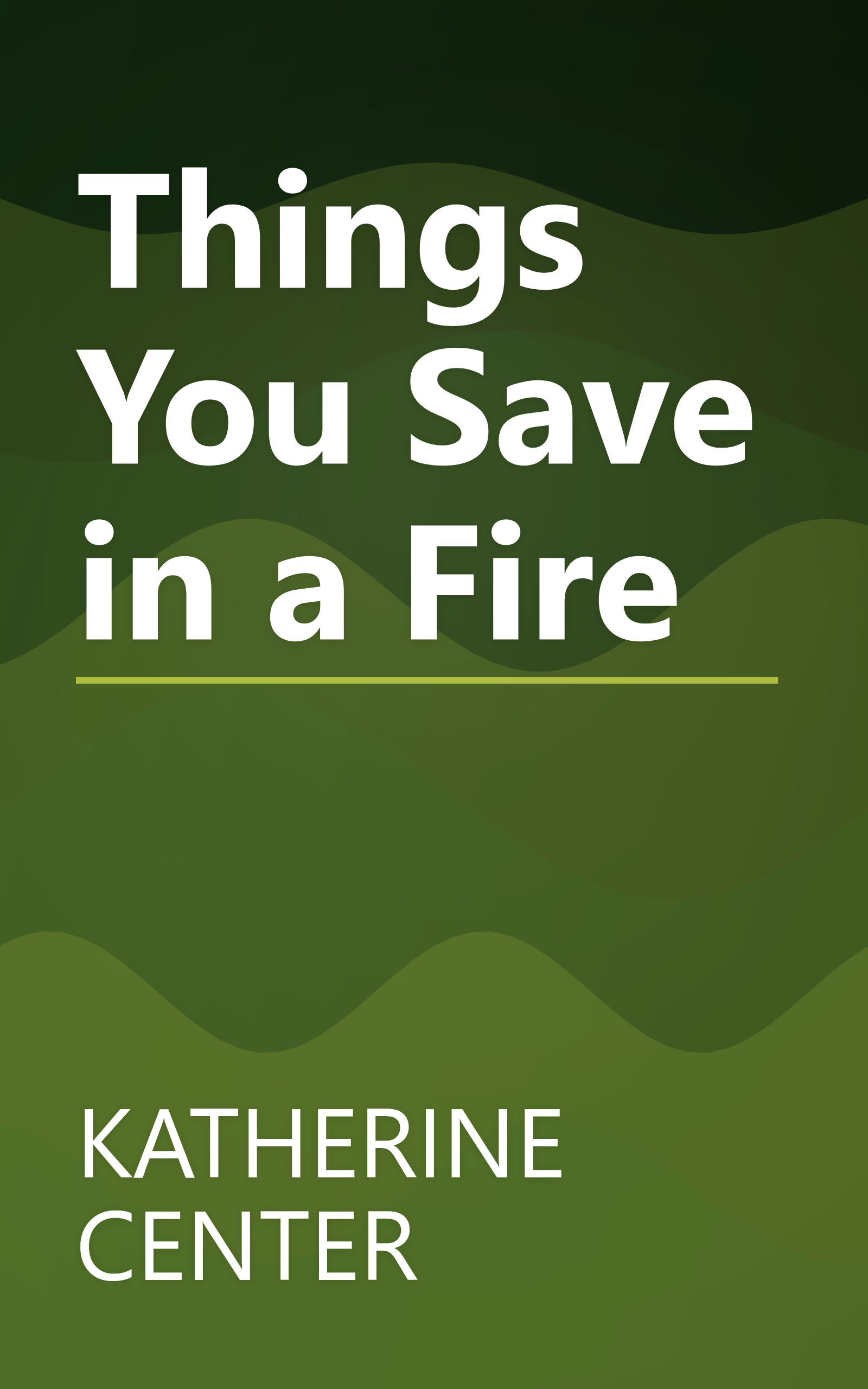 Things You Save in a Fire book cover