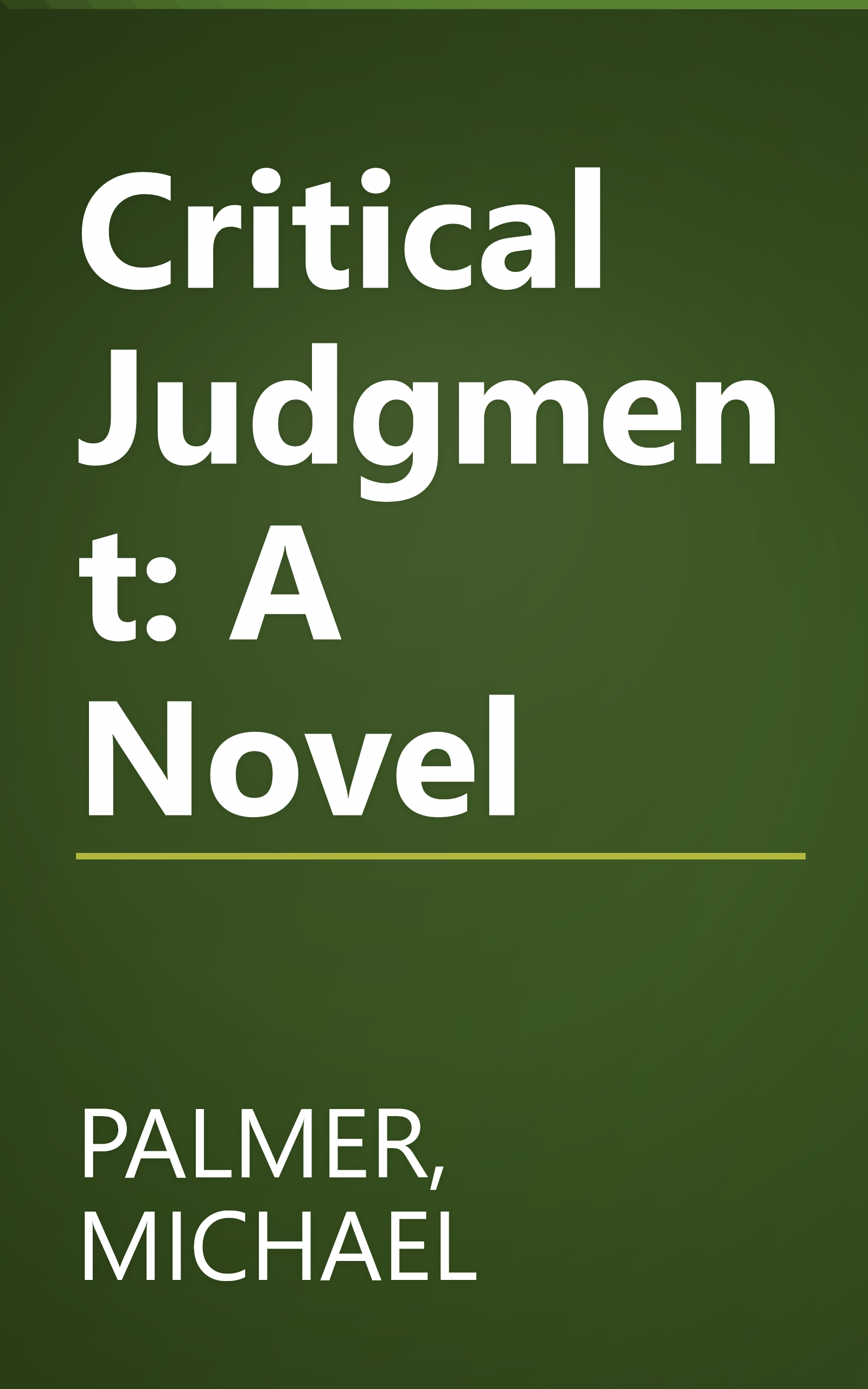 Critical Judgment: A Novel book cover