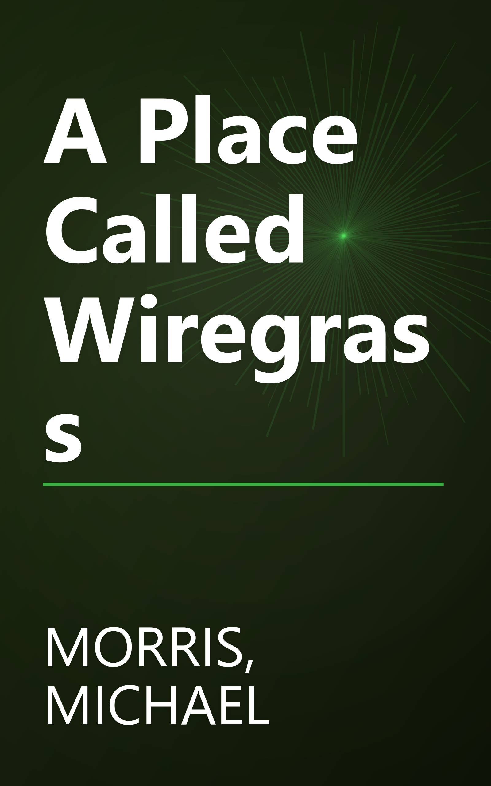 A Place Called Wiregrass book cover
