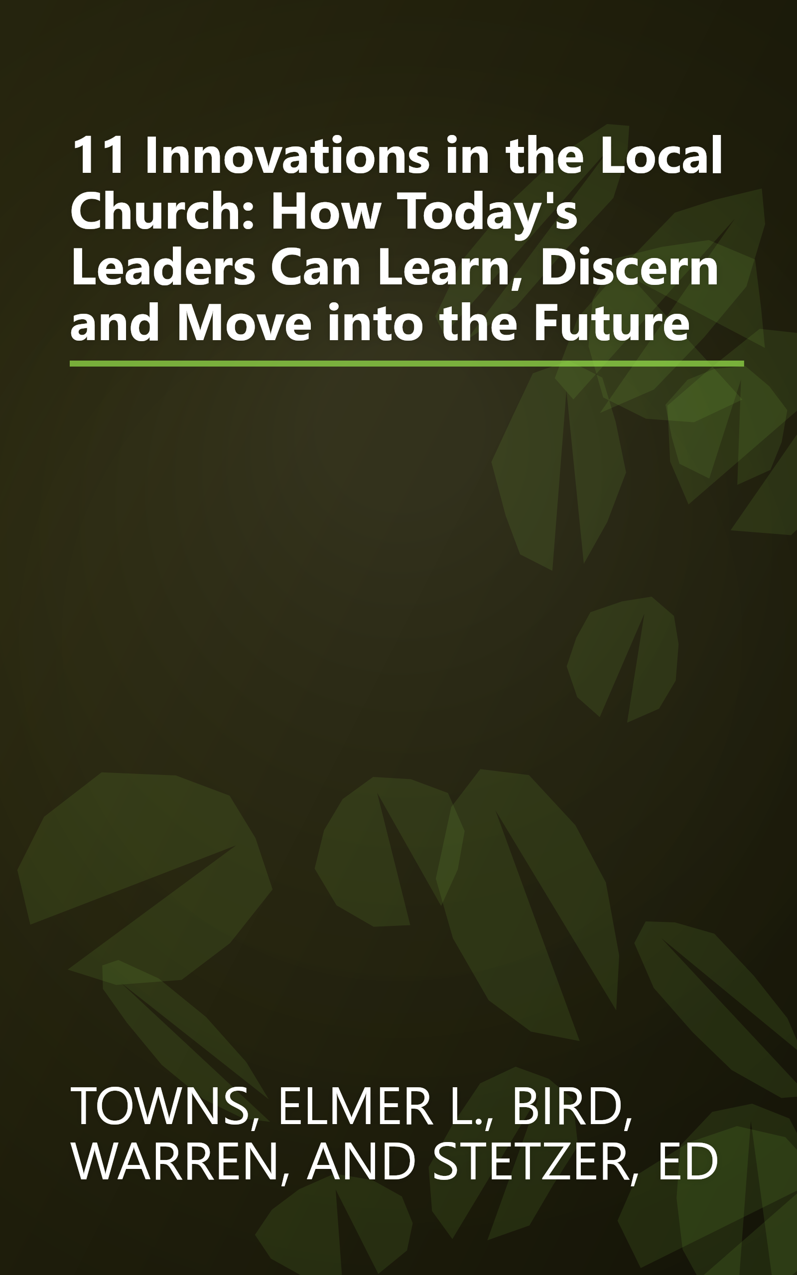 11 Innovations in the Local Church: How Today's Leaders Can Learn, Discern and Move into the Future book cover