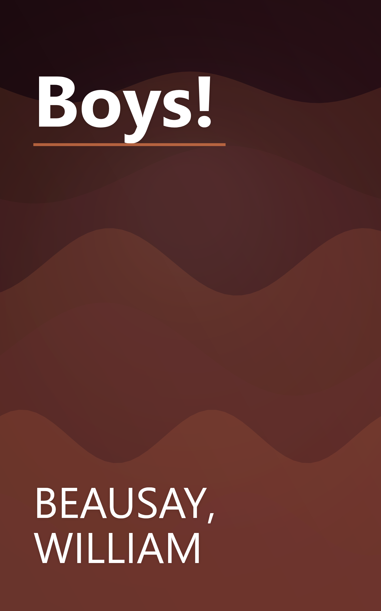 Boys! book cover