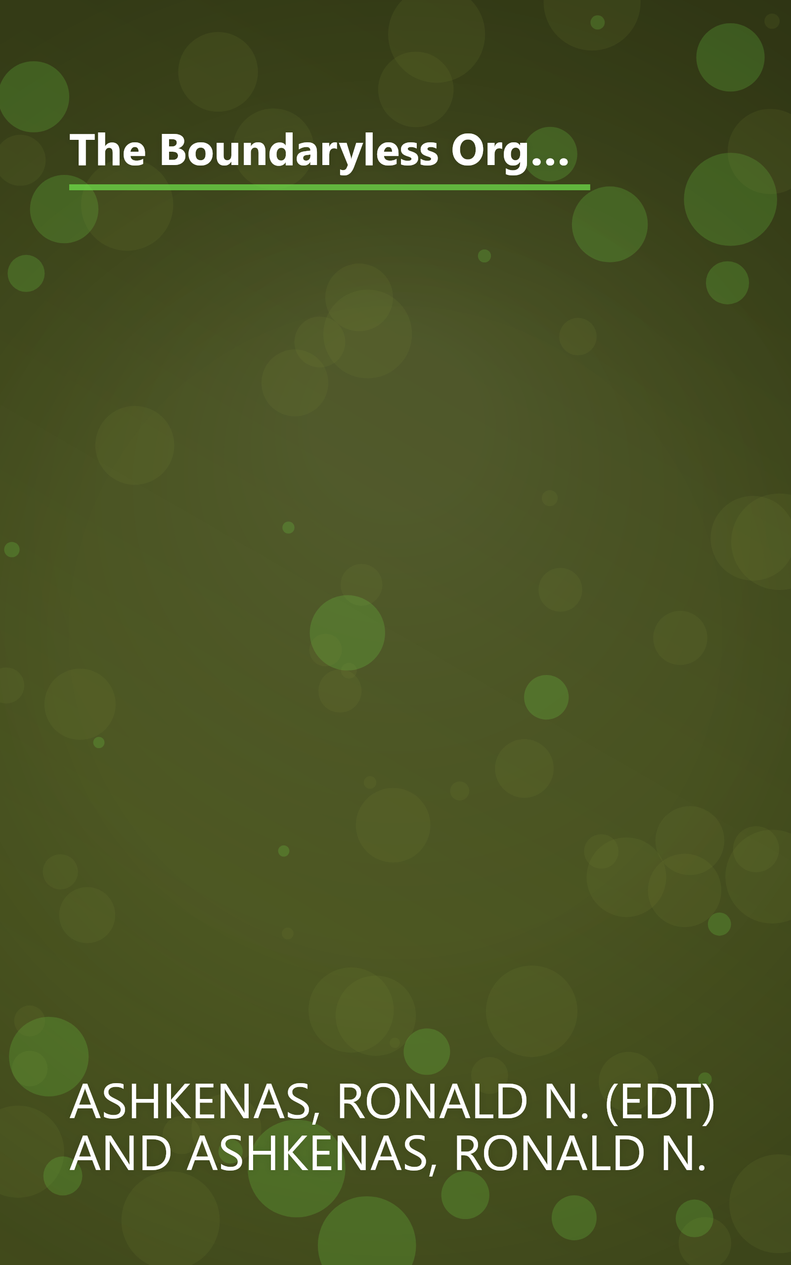 The Boundaryless Organization: Breaking the Chains of Organizational Structure (The Jossey-Bass Management Series) book cover