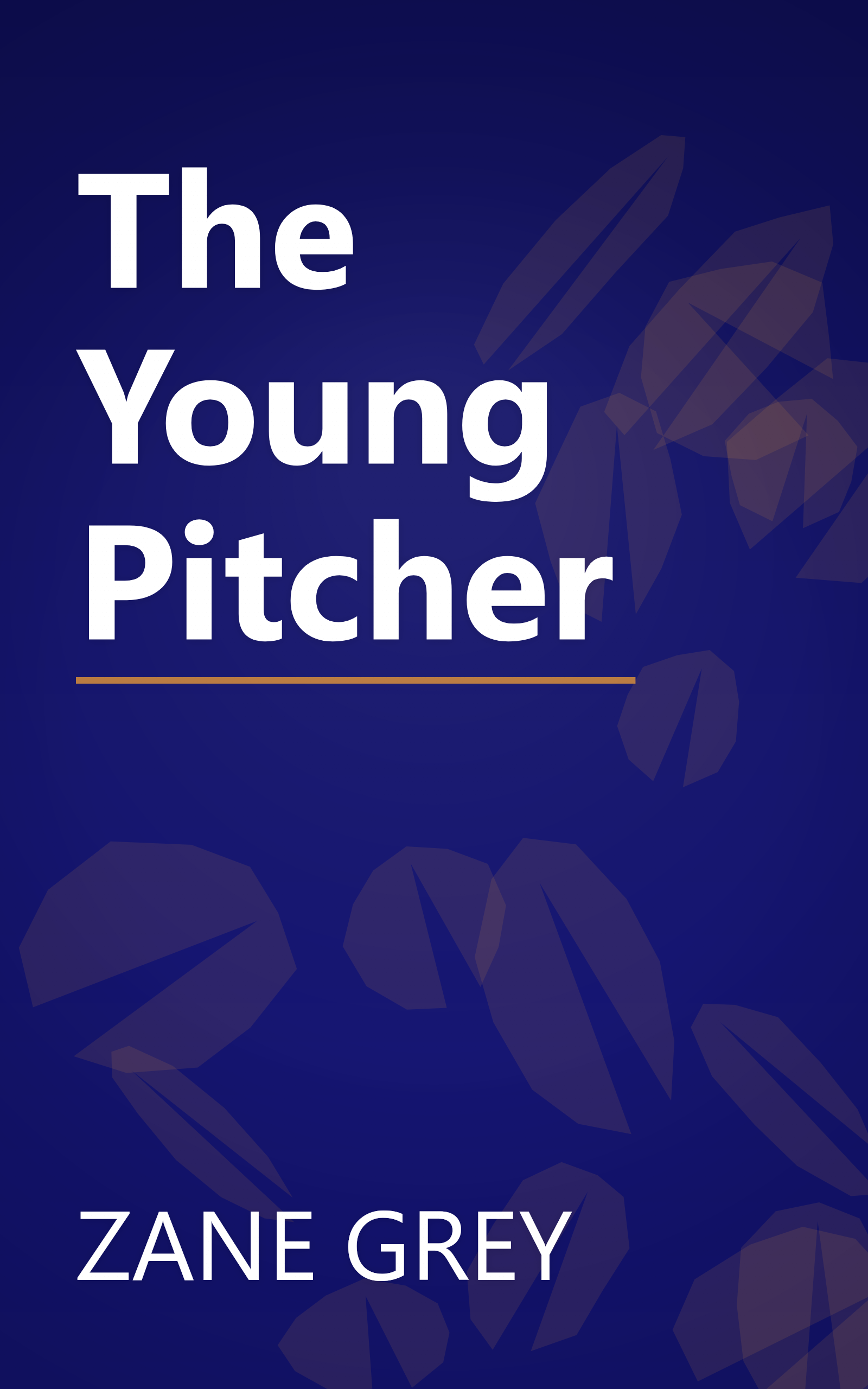 The Young Pitcher book cover