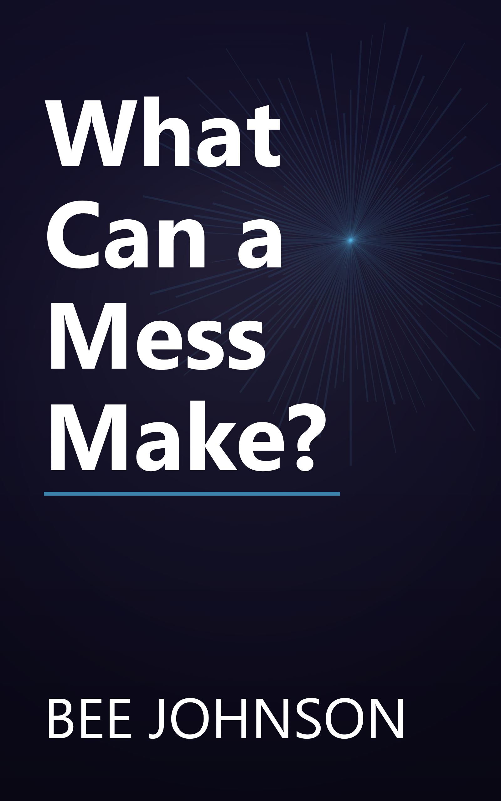 What Can a Mess Make? book cover