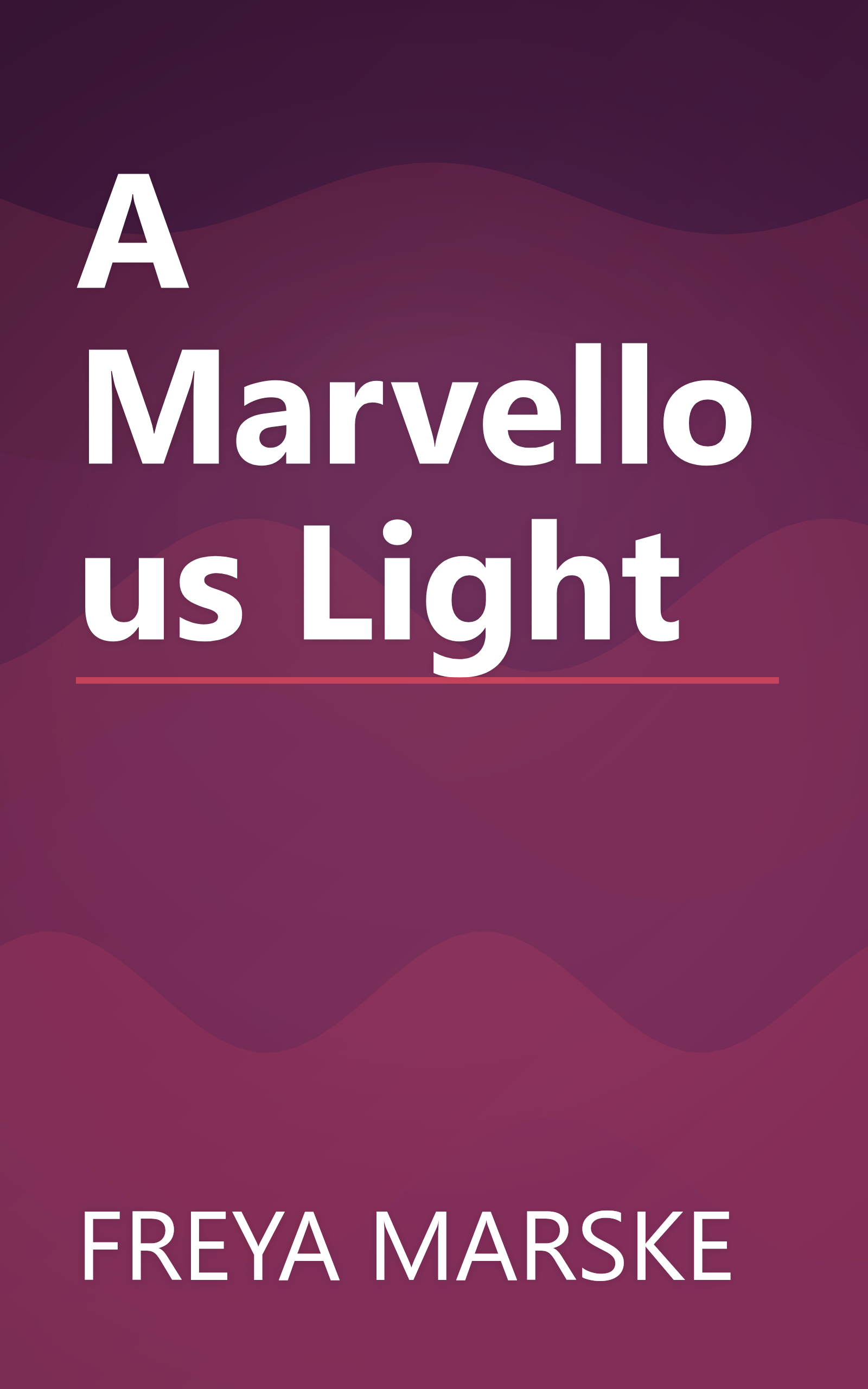 A Marvellous Light book cover