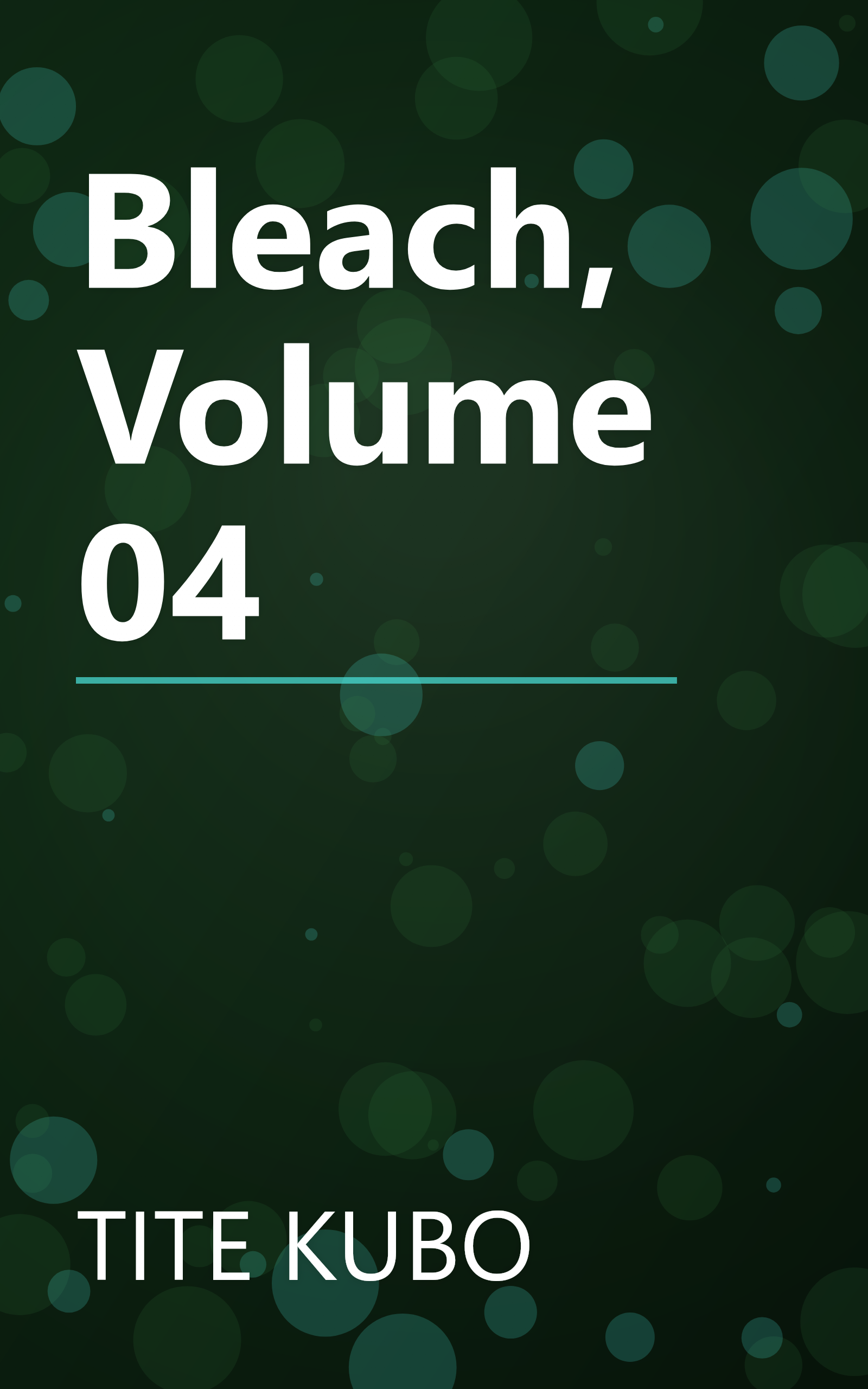 Bleach, Volume 04 book cover