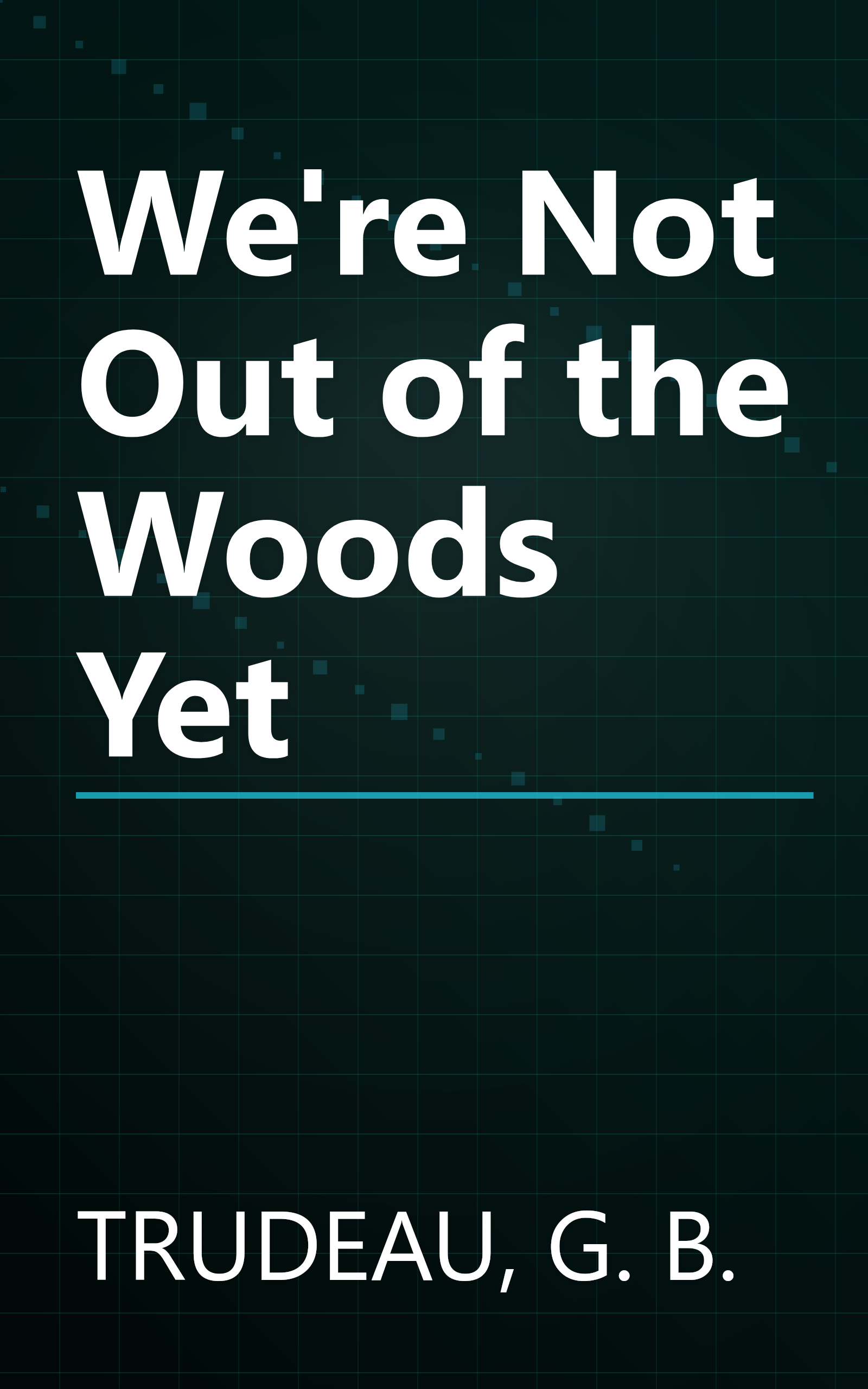 We're Not Out of the Woods Yet book cover