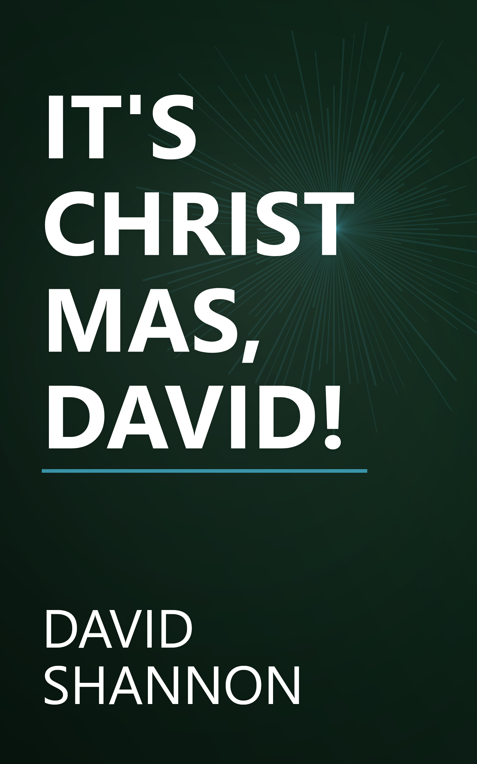 IT'S CHRISTMAS, DAVID! book cover