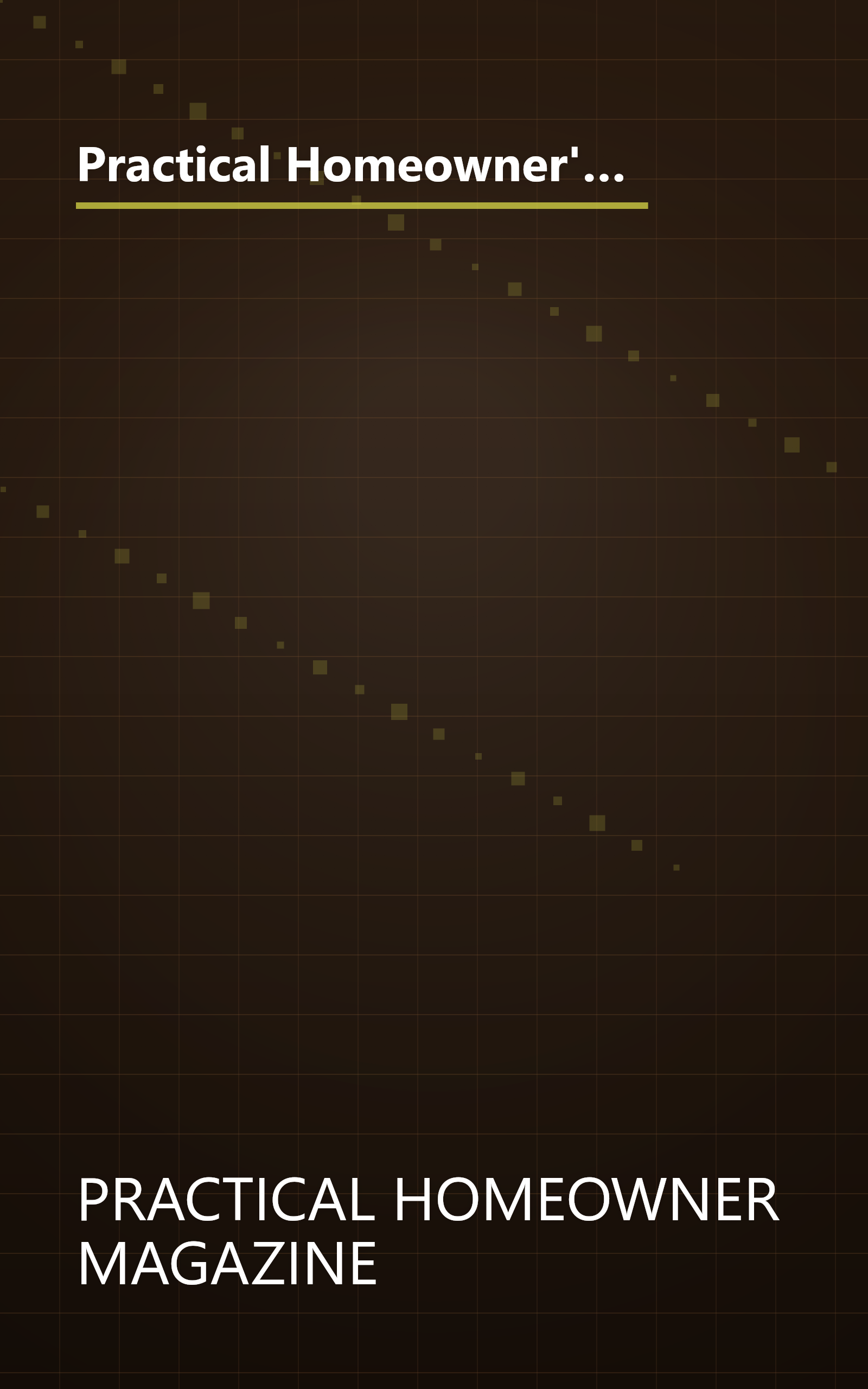 Practical Homeowner's 1987 Do-It-Yourself Annual: Best Remodeling Options for Today's Home (Practical Homeowner's Do-It-Yourself Annual) book cover