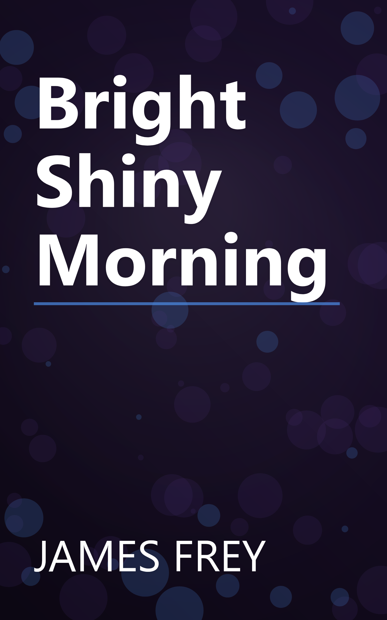 Bright Shiny Morning book cover