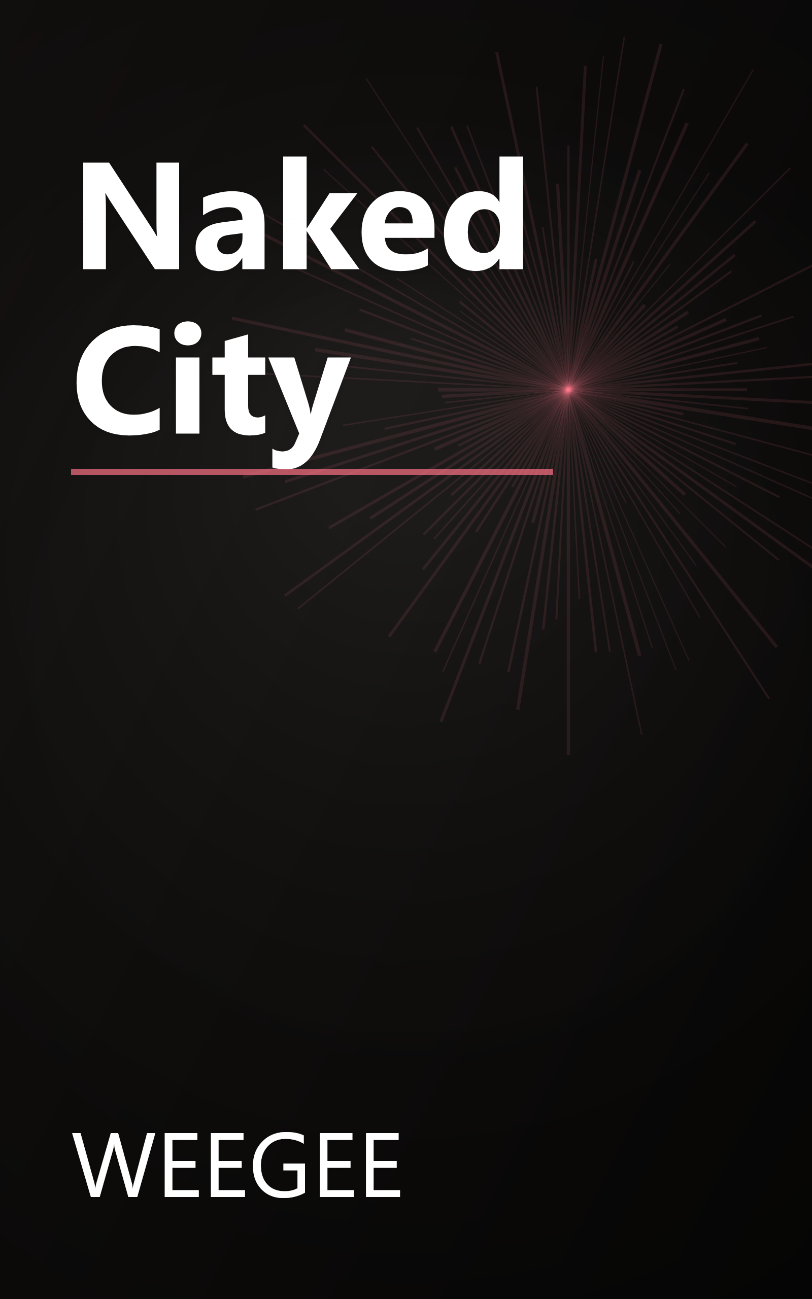Naked City book cover