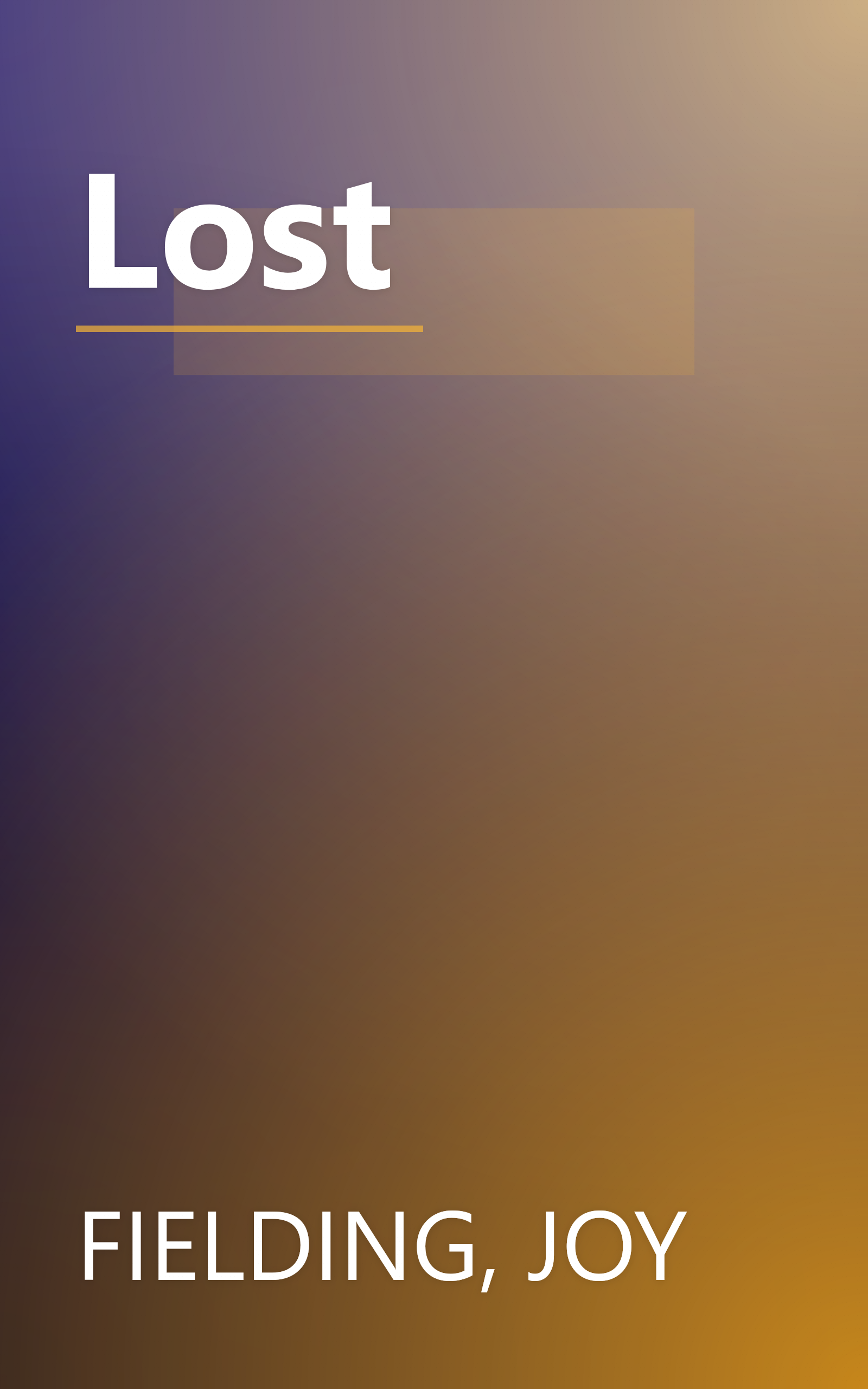 Lost book cover
