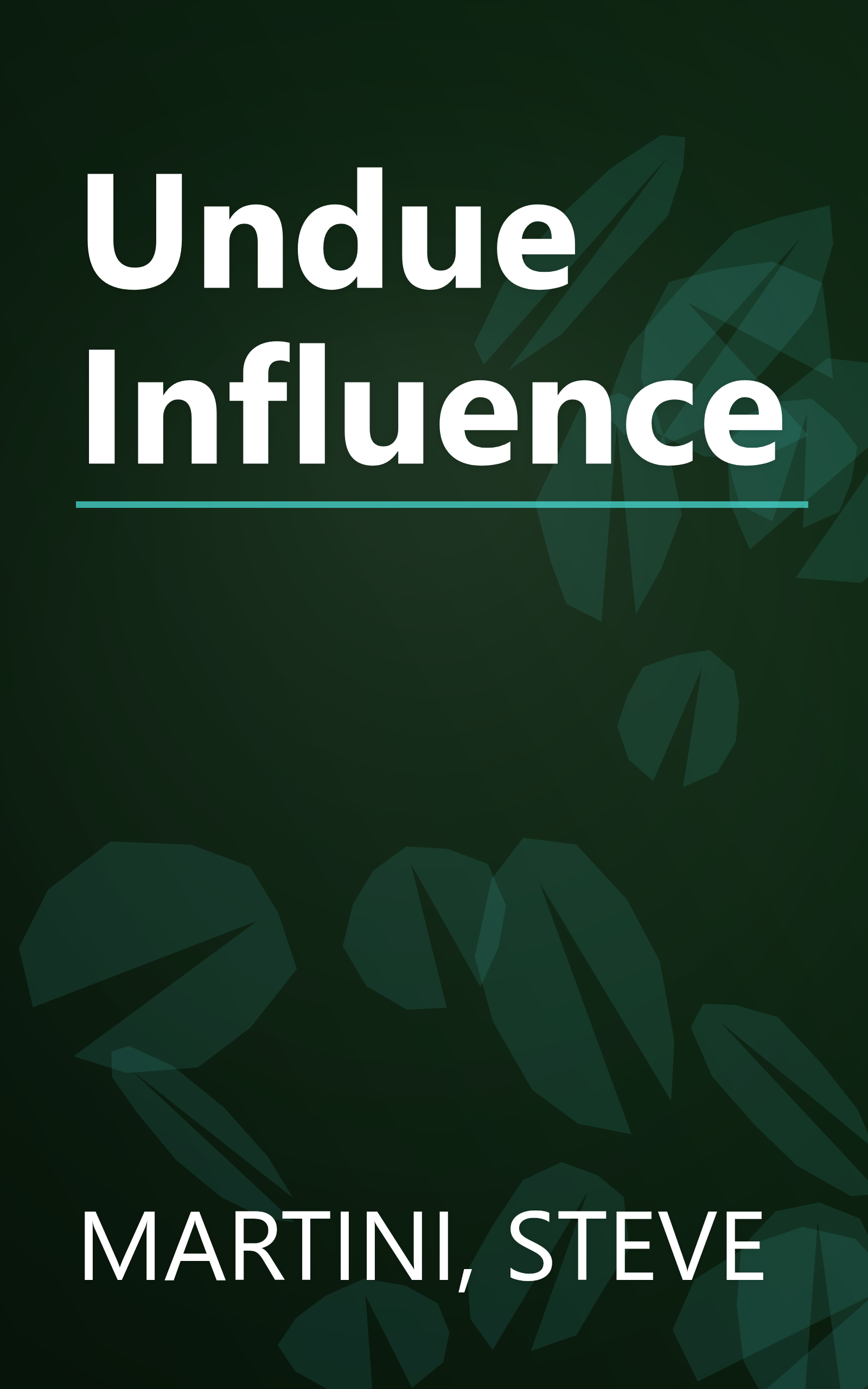 Undue Influence book cover