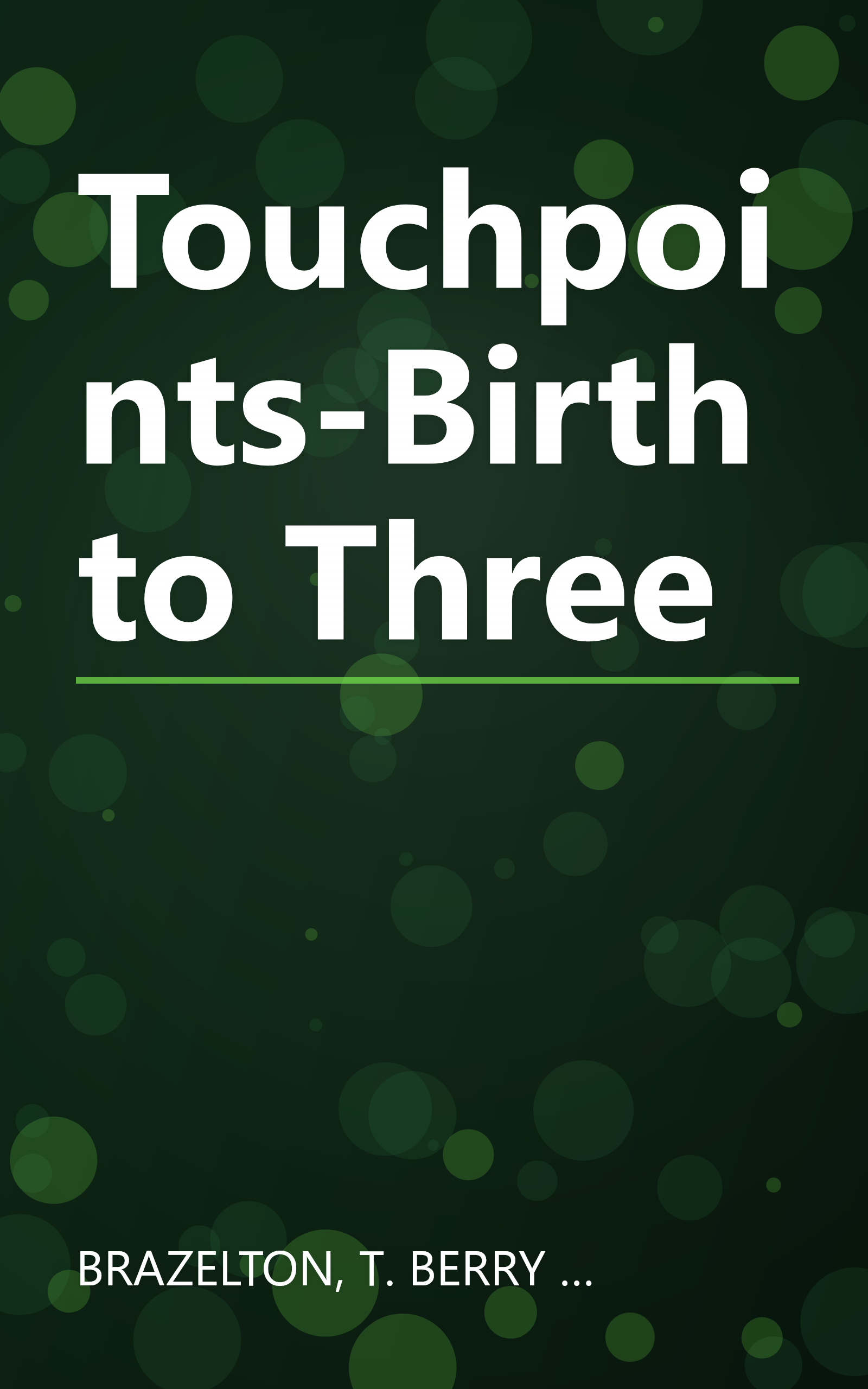 Touchpoints-Birth to Three book cover