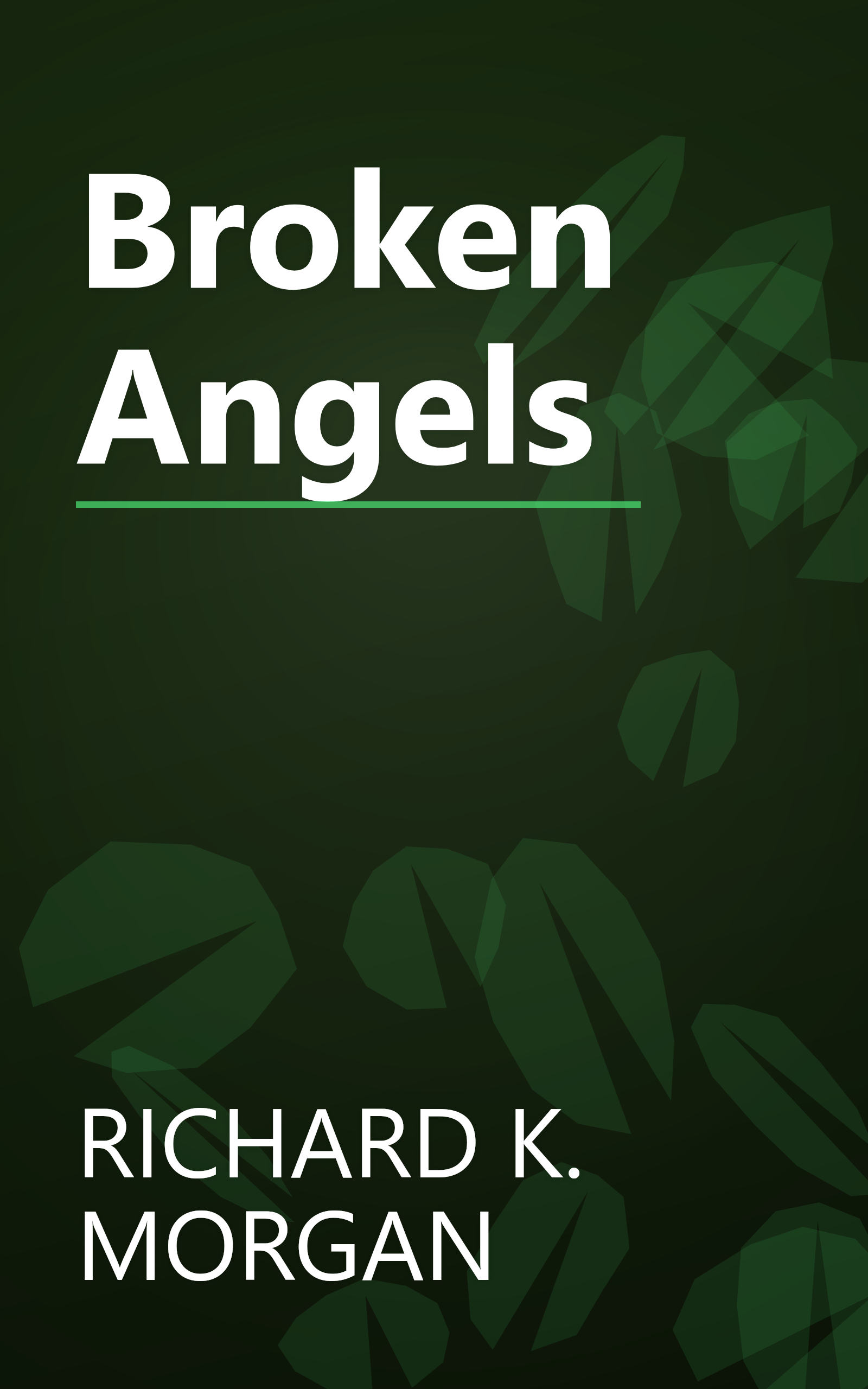 Broken Angels book cover