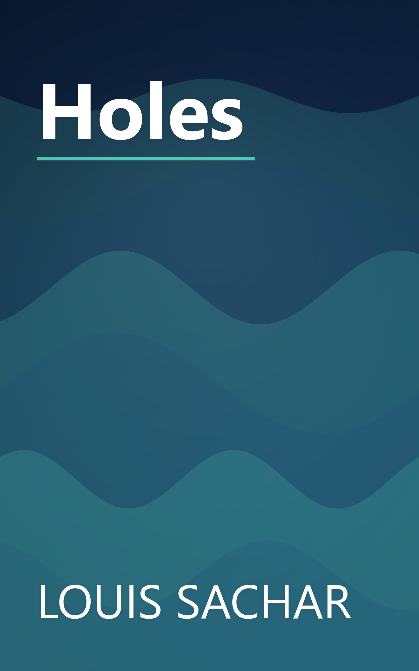 Holes book cover