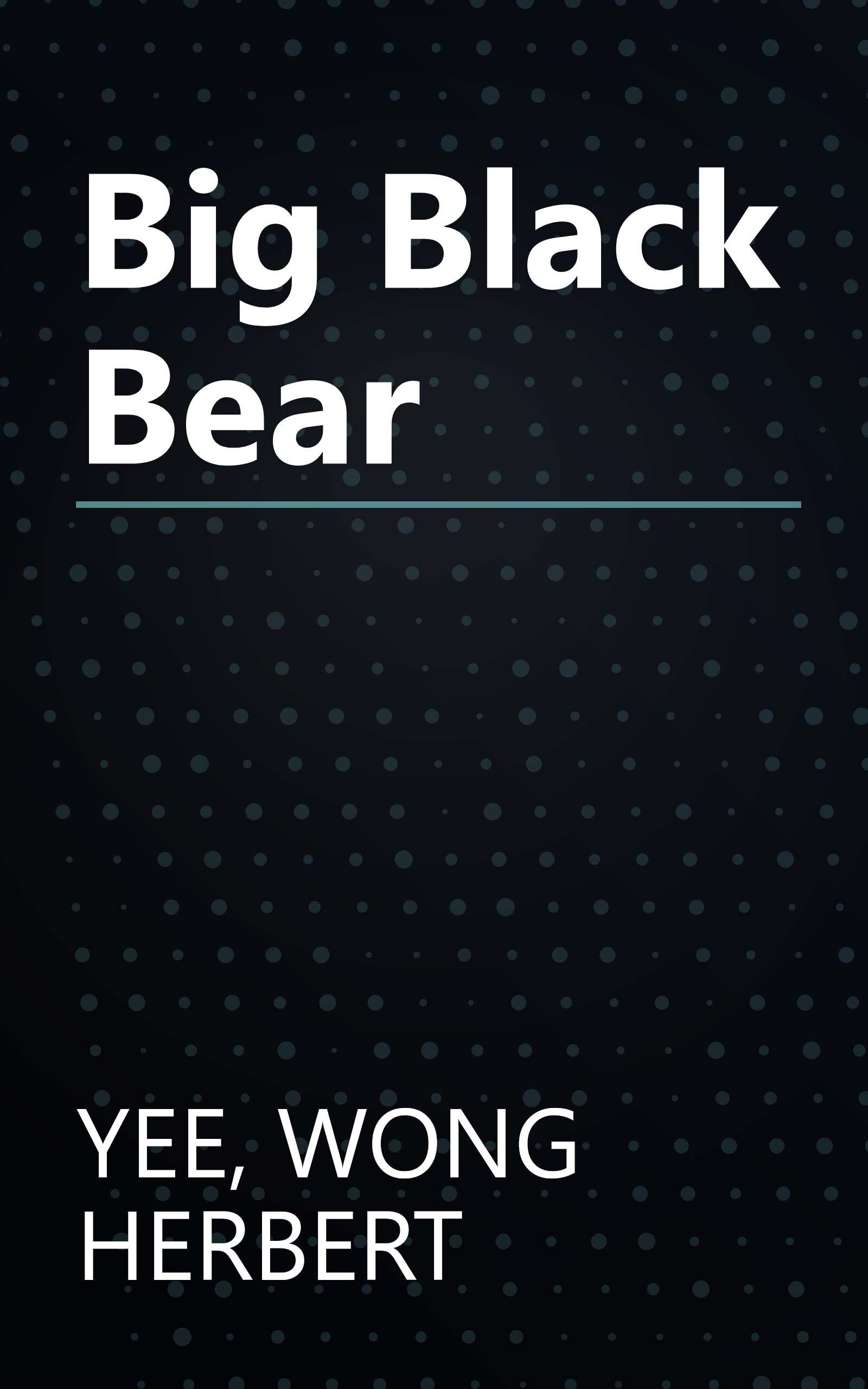 Big Black Bear book cover
