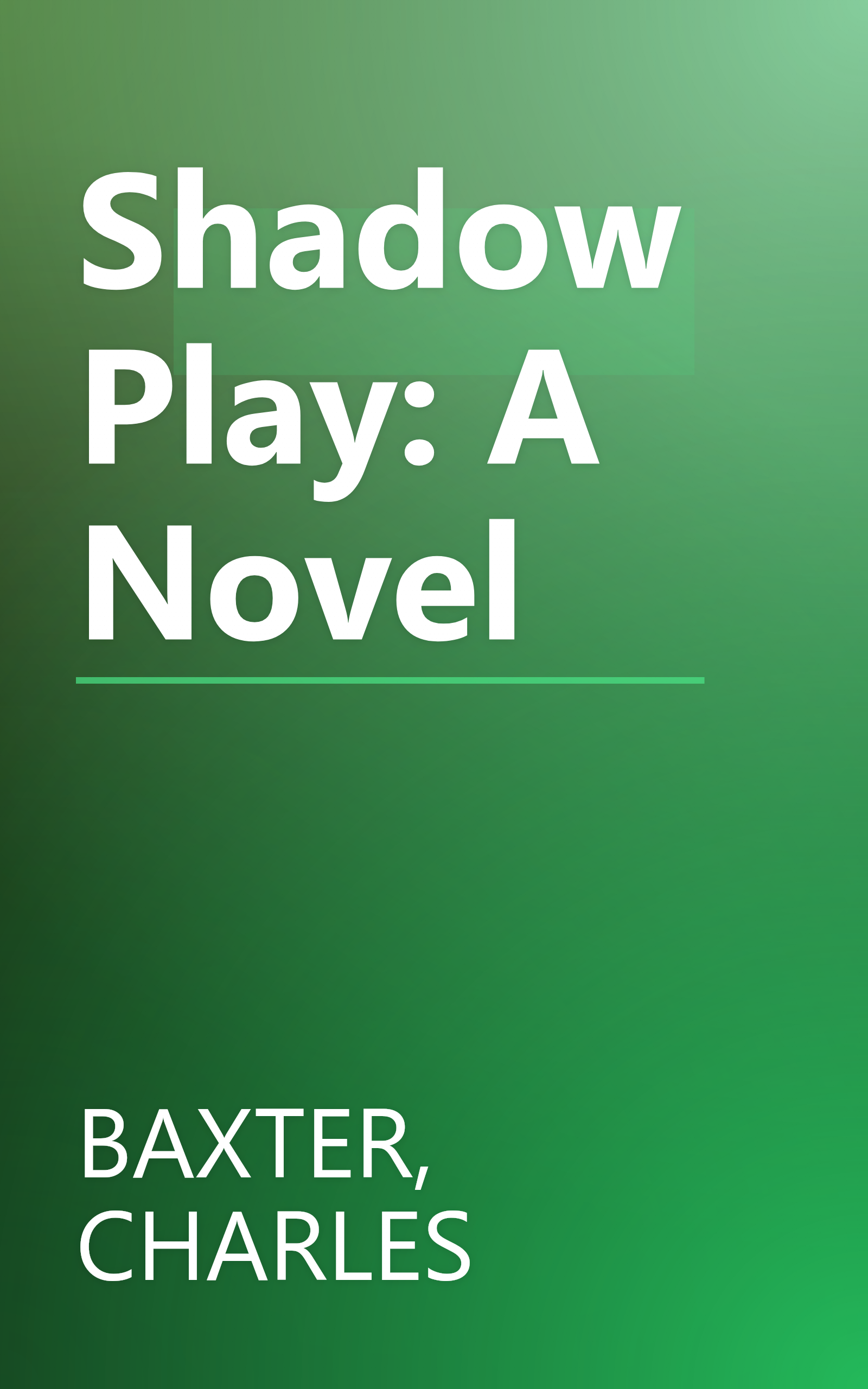 Shadow Play: A Novel book cover