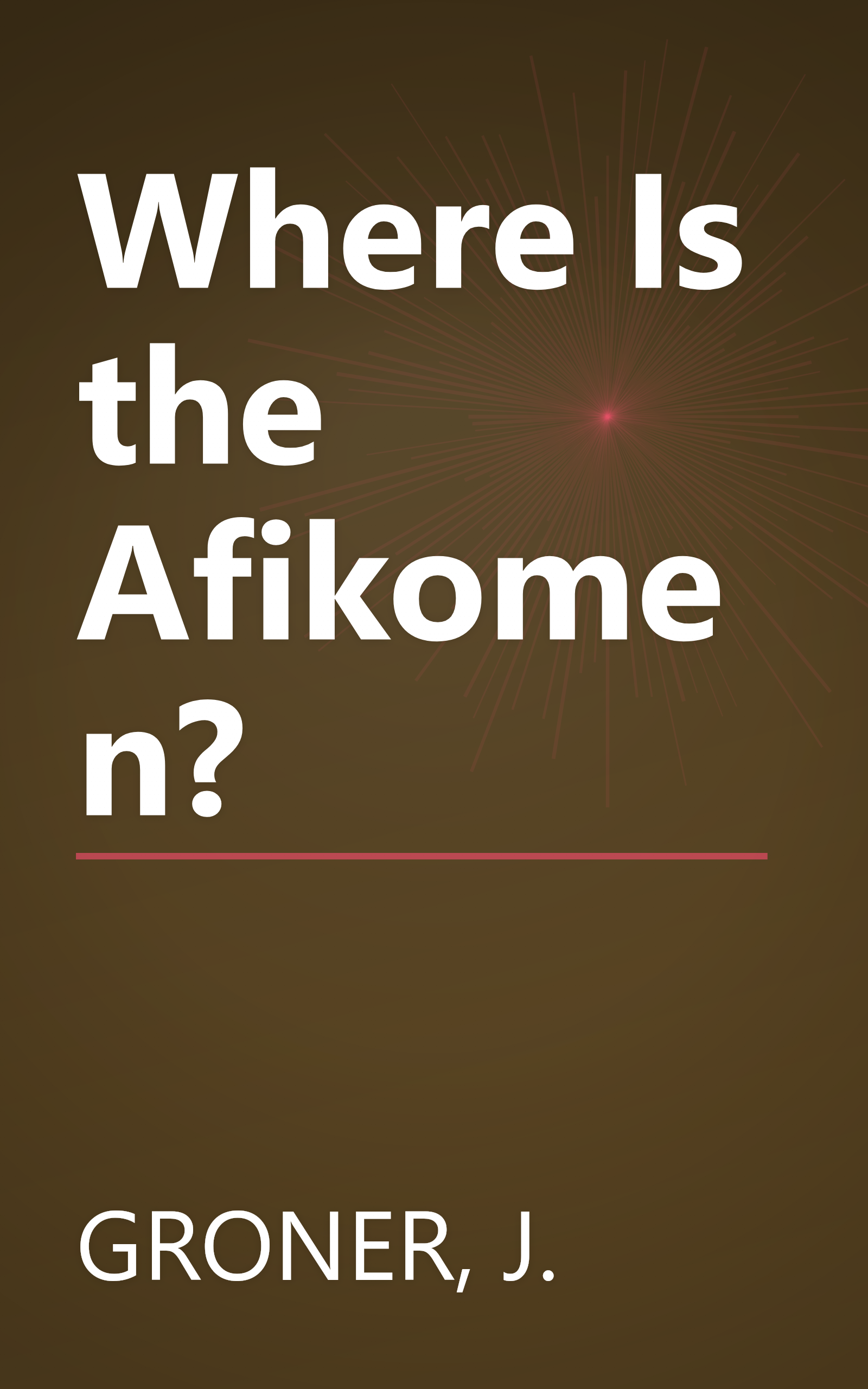 Where Is the Afikomen? book cover