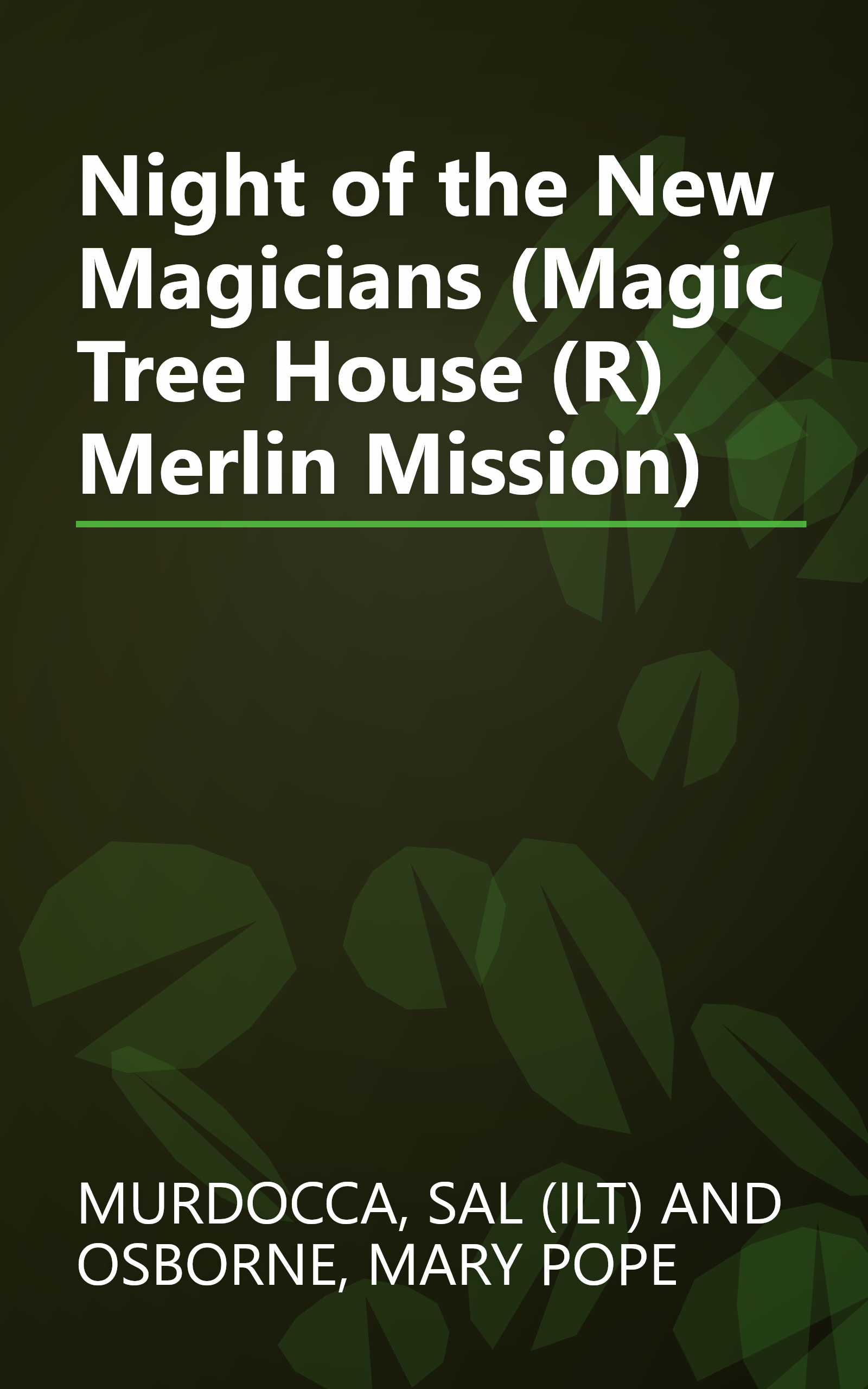 Night of the New Magicians (Magic Tree House (R) Merlin Mission) book cover