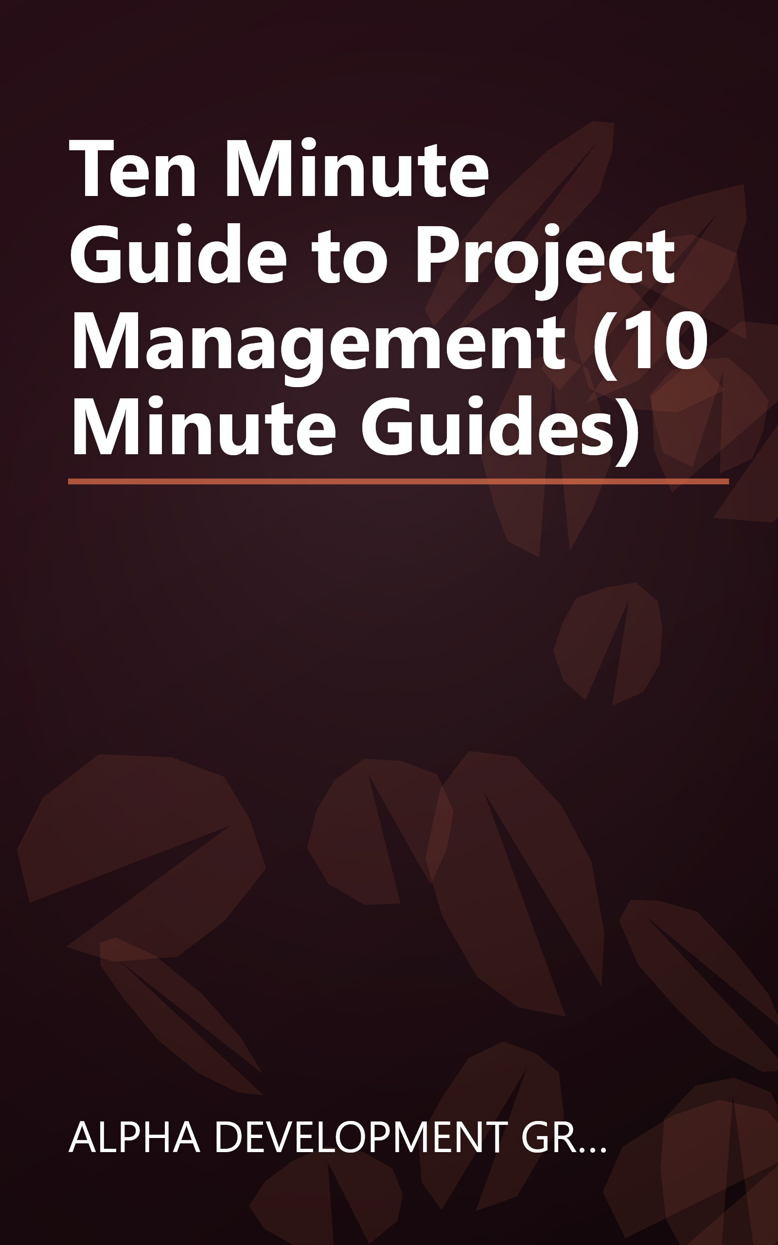 Ten Minute Guide to Project Management (10 Minute Guides) book cover