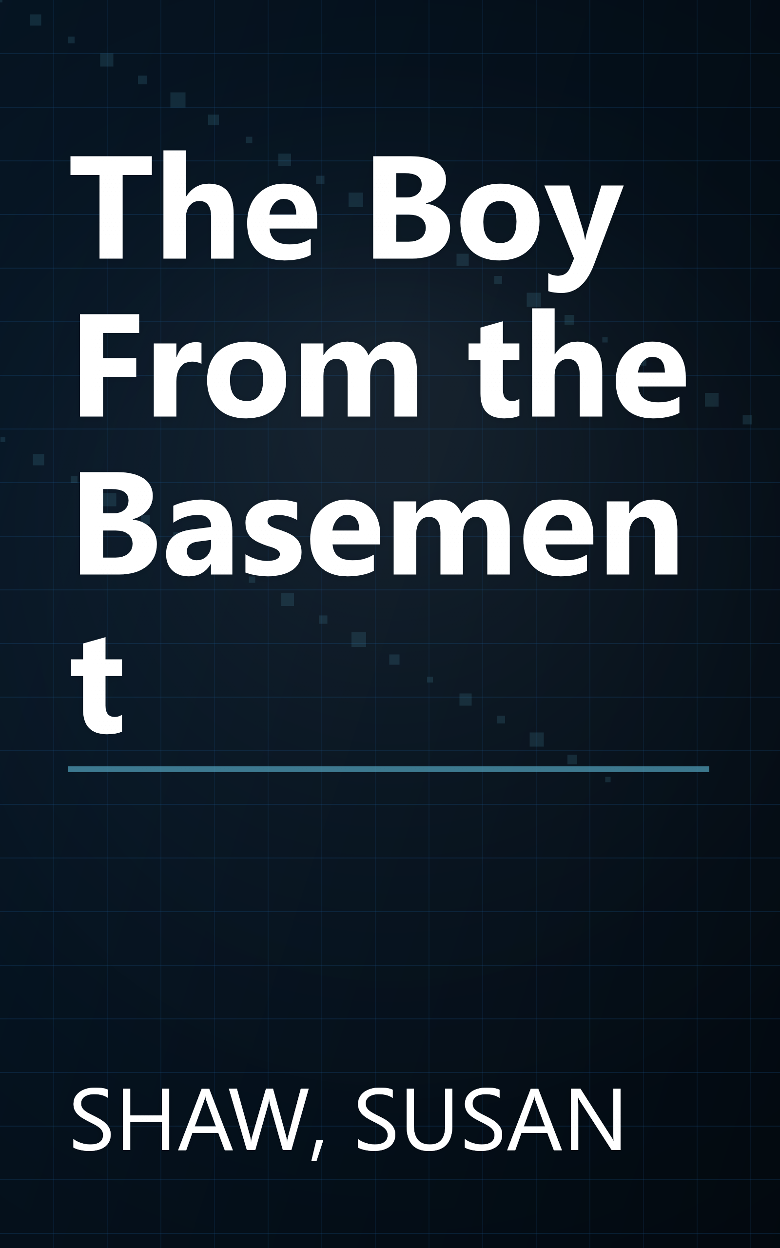 The Boy From the Basement book cover