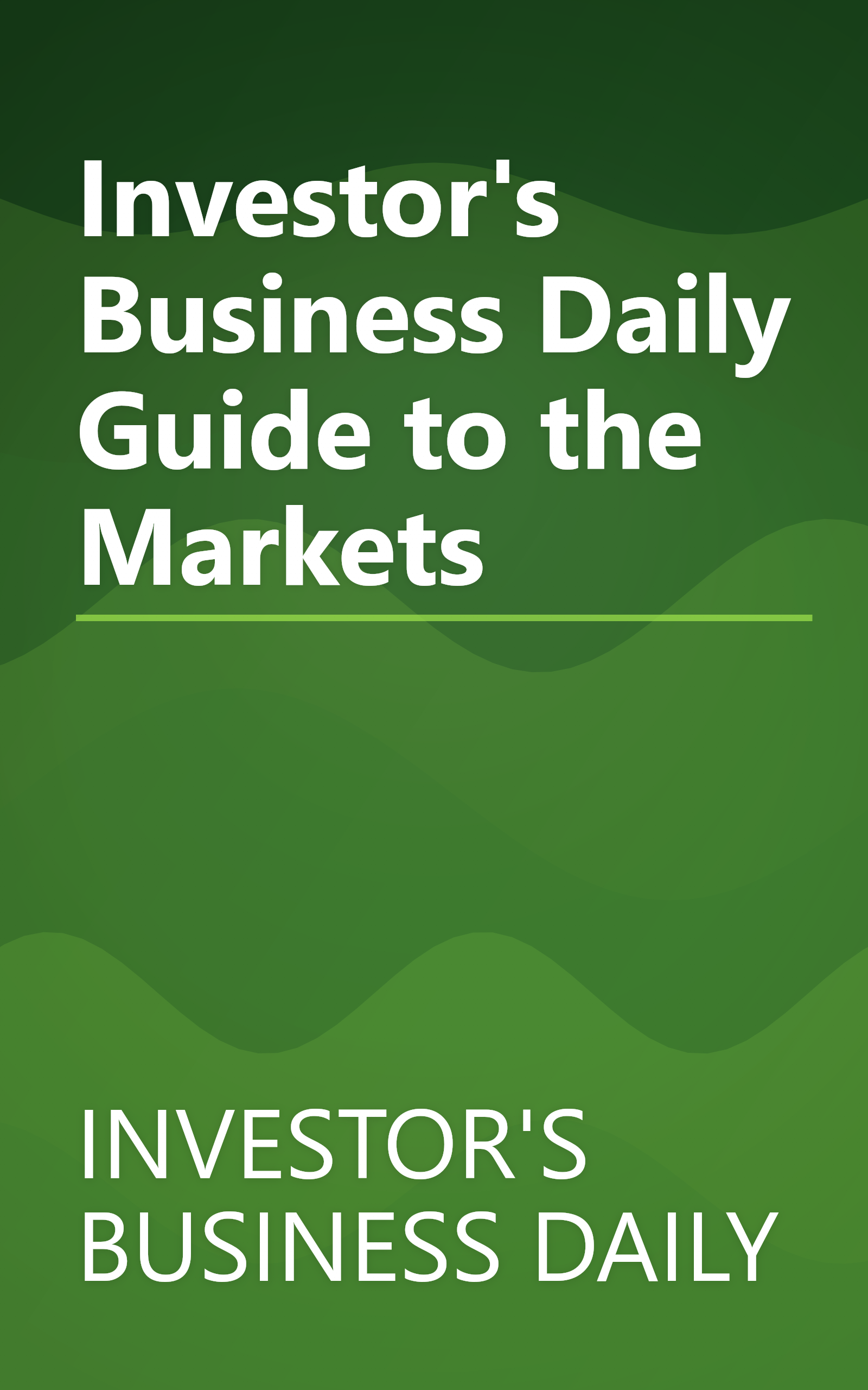 Investor's Business Daily Guide to the Markets book cover