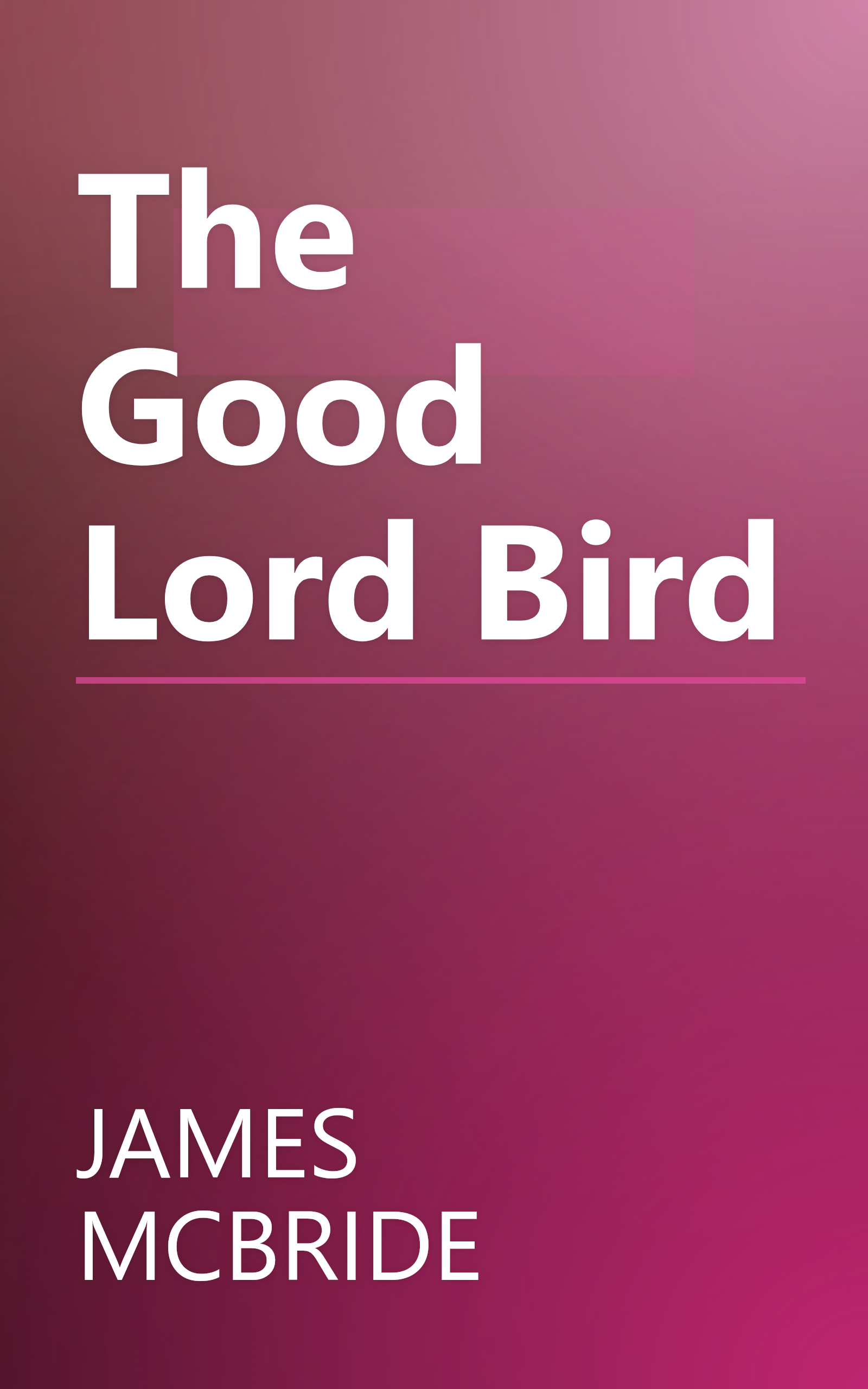 The Good Lord Bird book cover