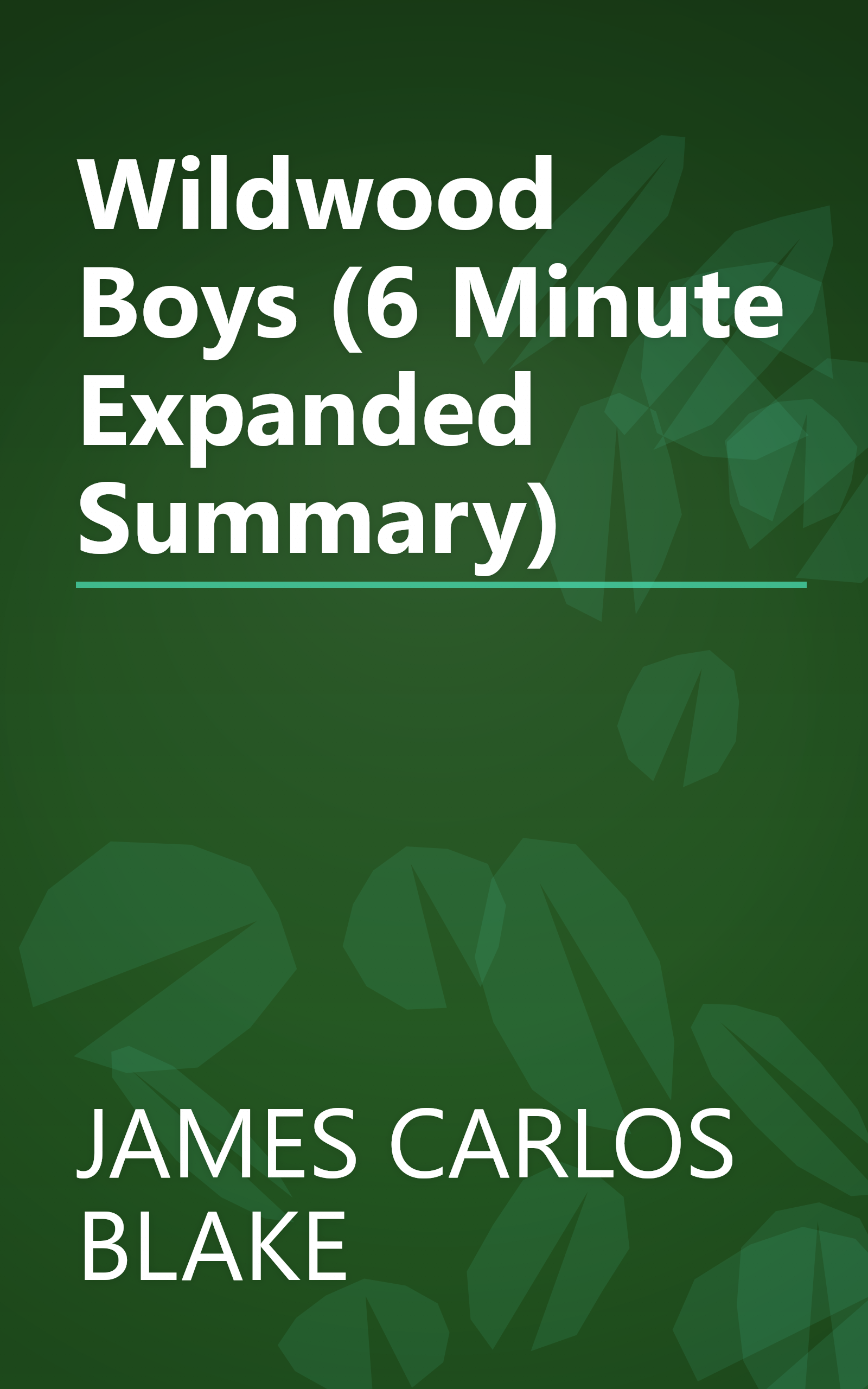 Wildwood Boys (6 Minute   Expanded Summary) book cover