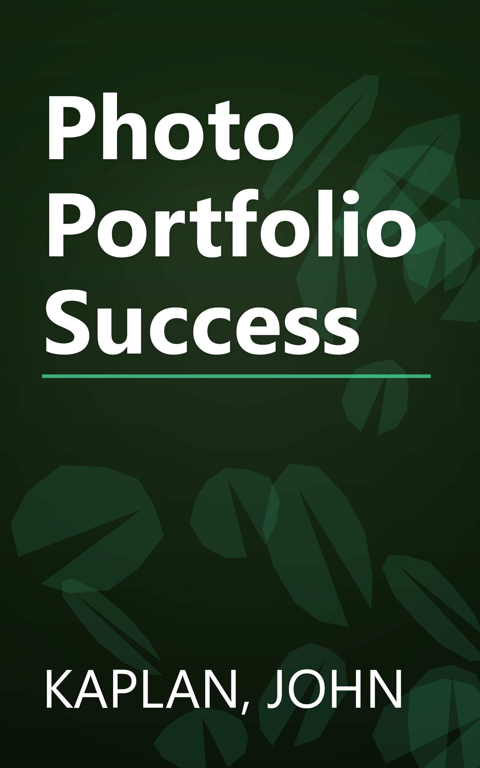 Photo Portfolio Success book cover