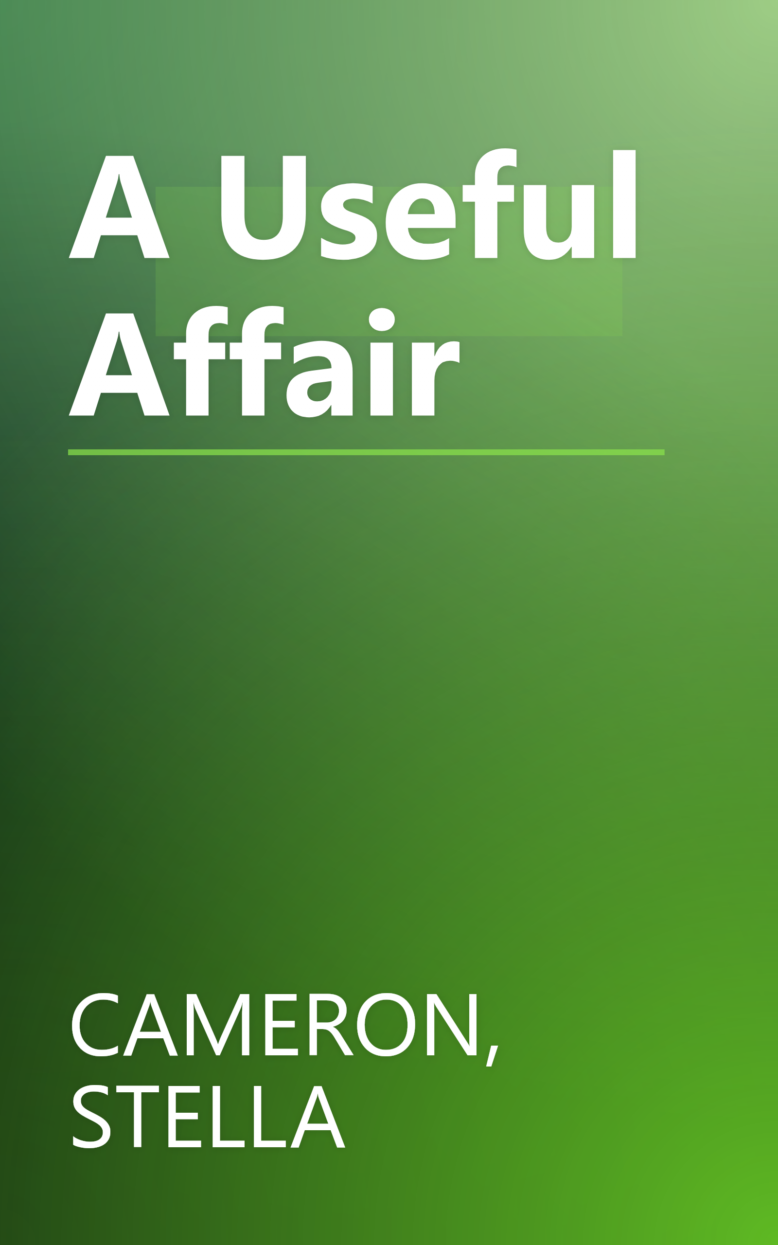 A Useful Affair book cover