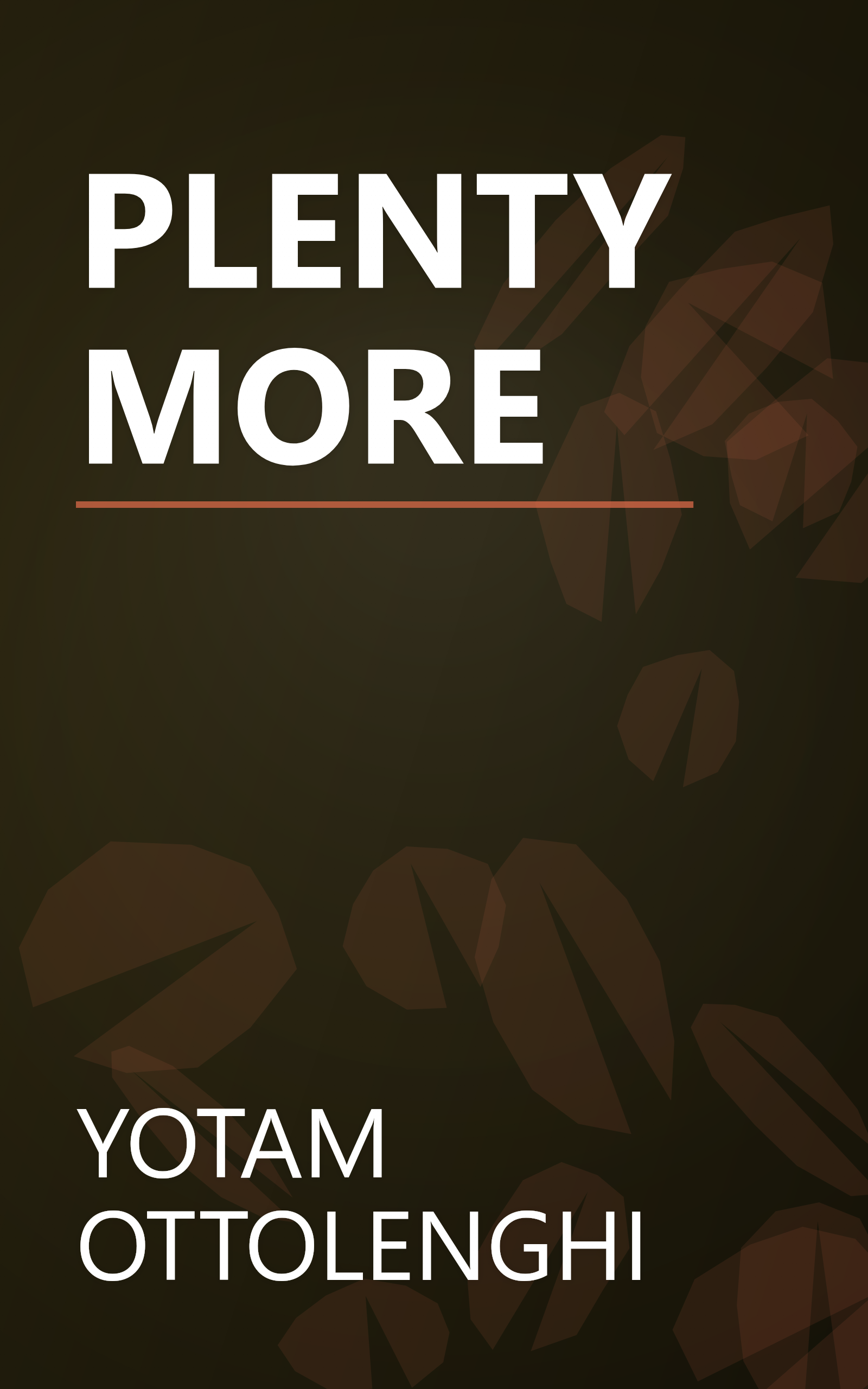 PLENTY MORE book cover