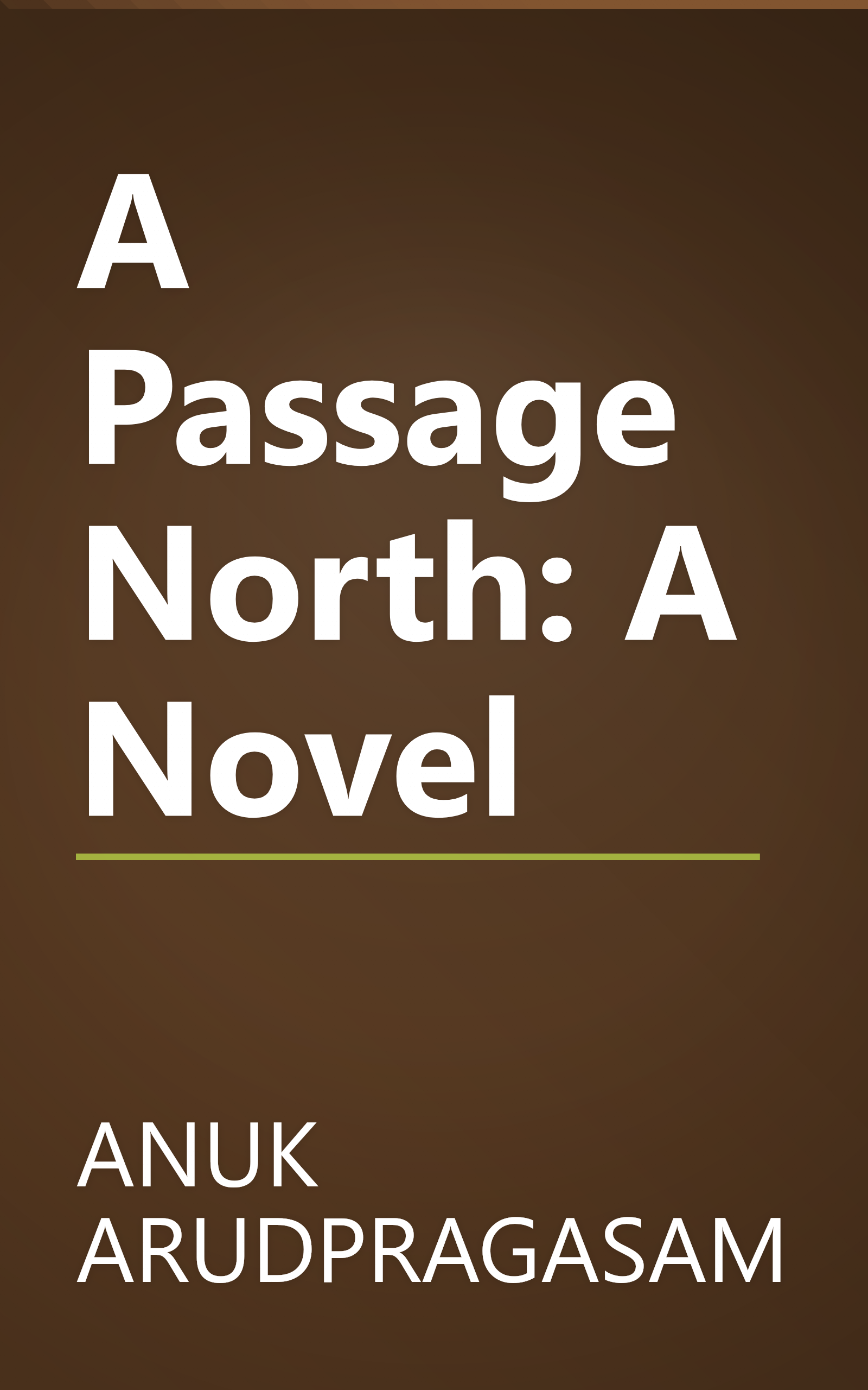 A Passage North: A Novel book cover