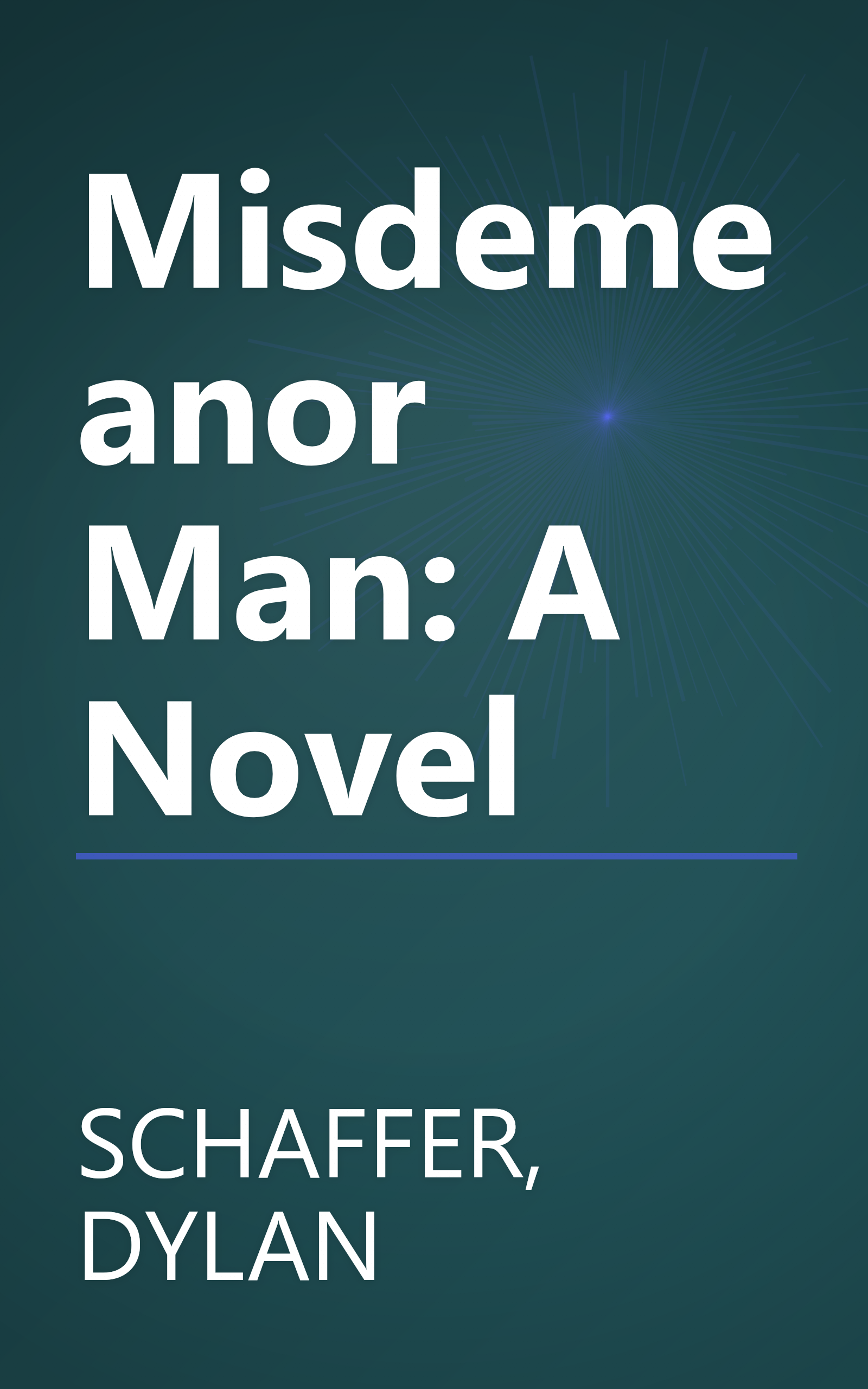 Misdemeanor Man: A Novel book cover