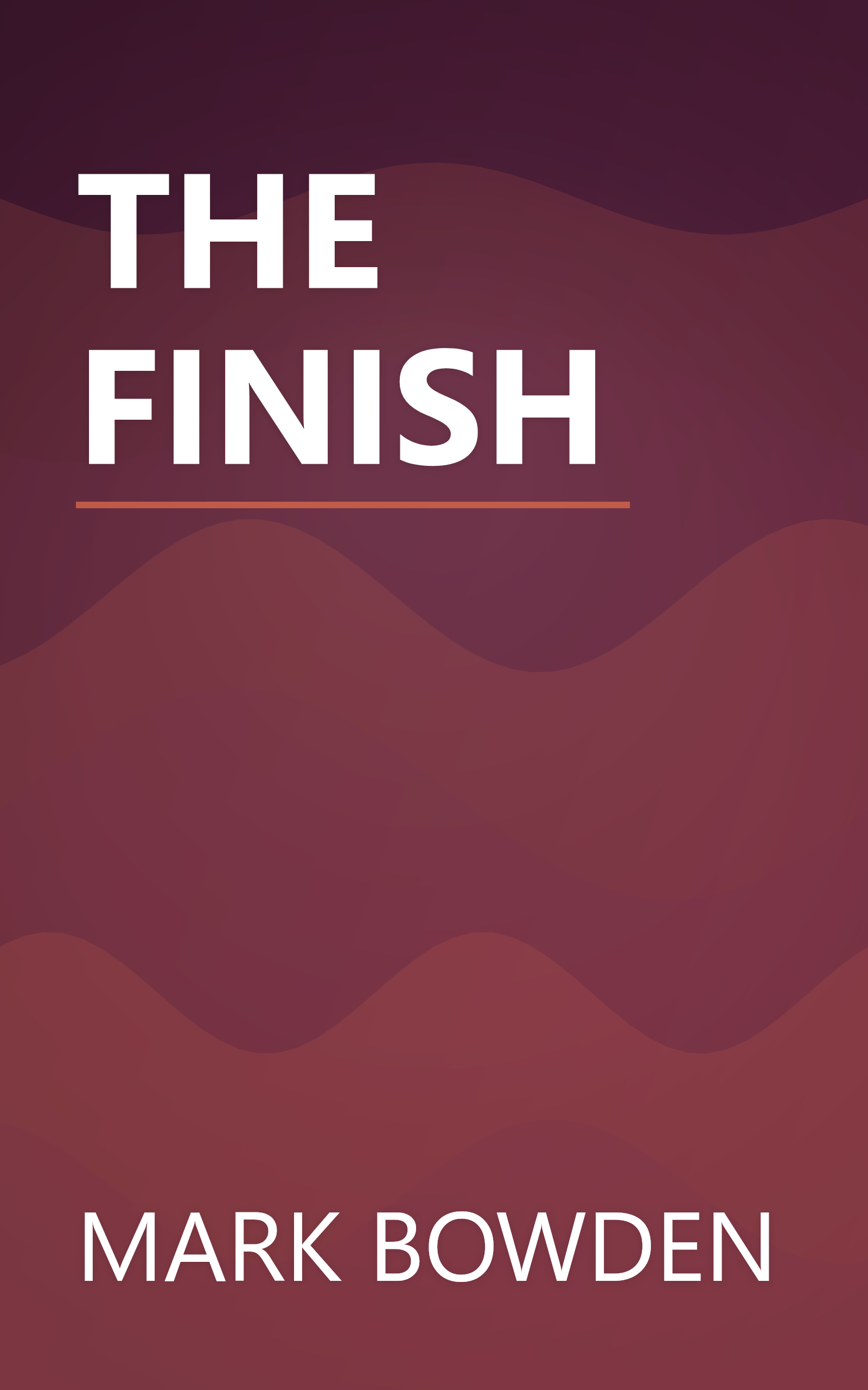 THE FINISH book cover
