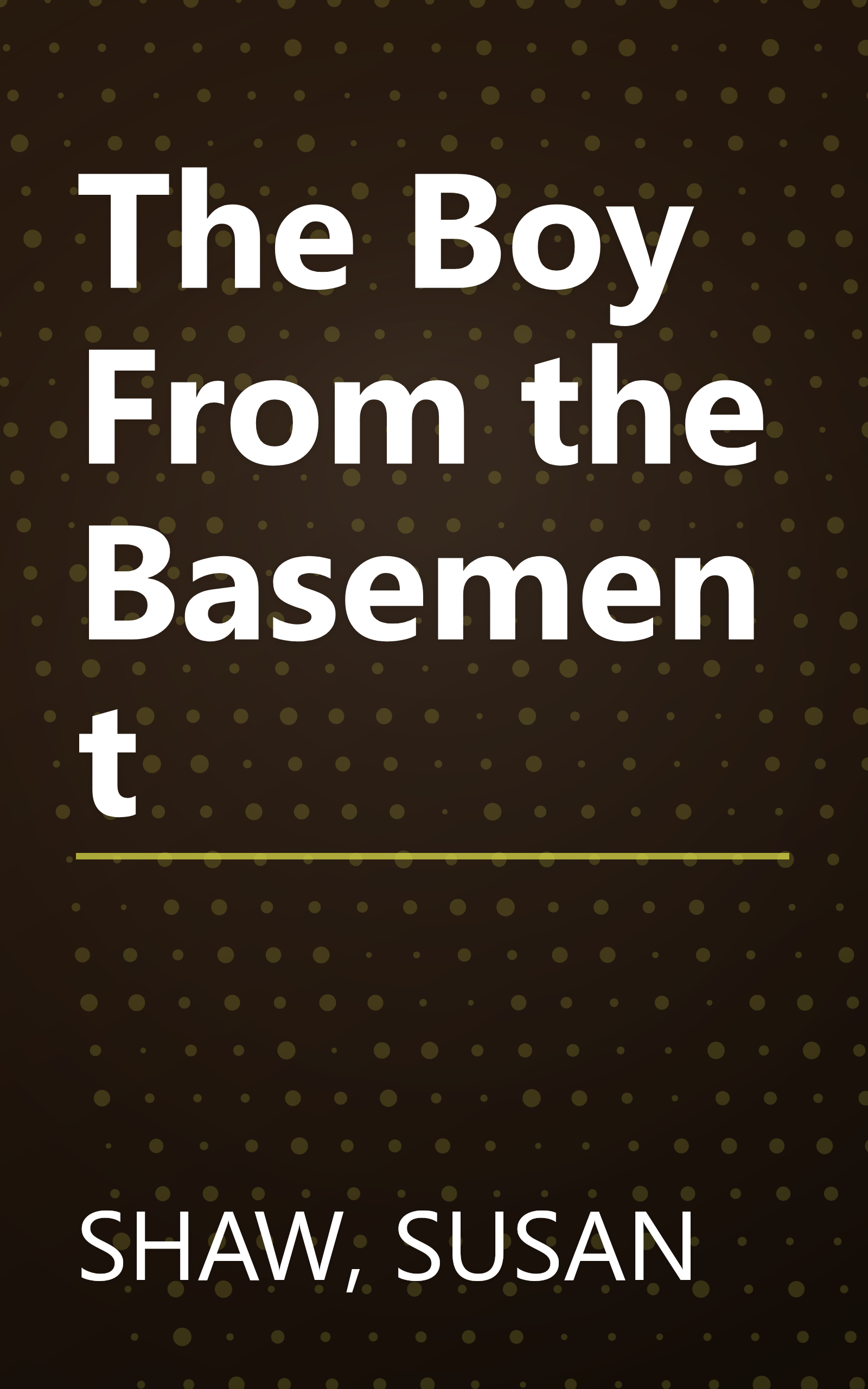 The Boy From the Basement book cover