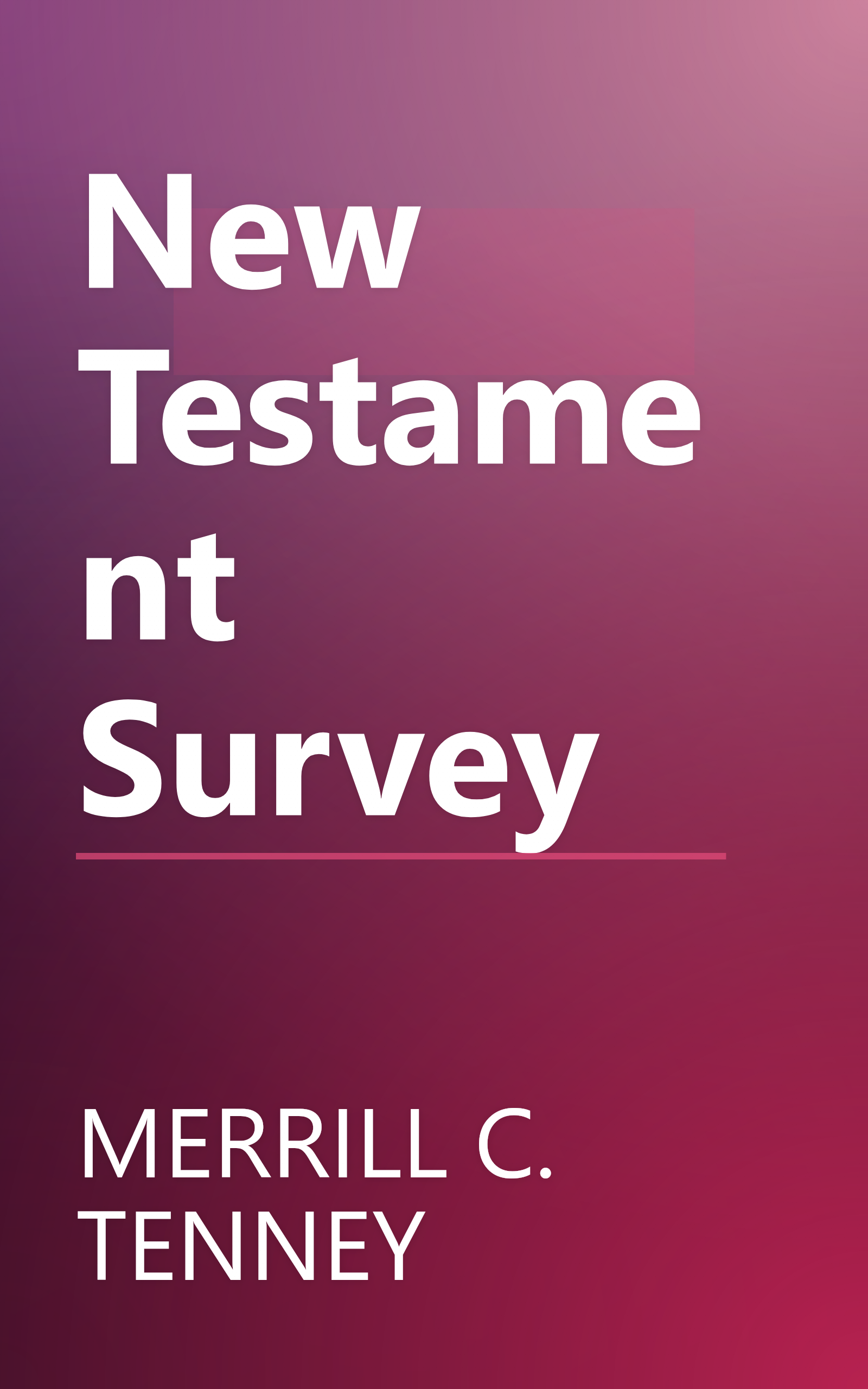New Testament Survey book cover