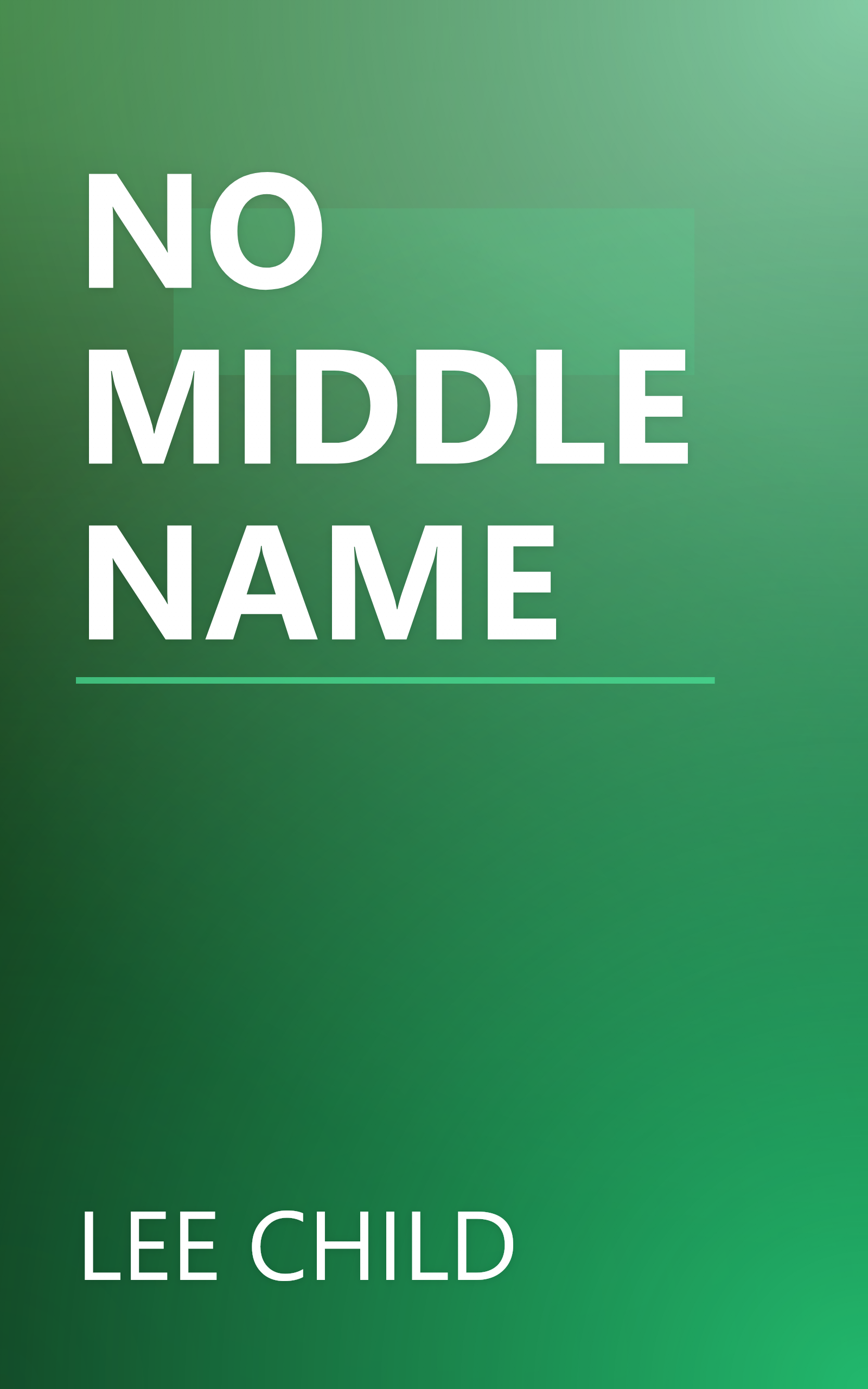 NO MIDDLE NAME book cover