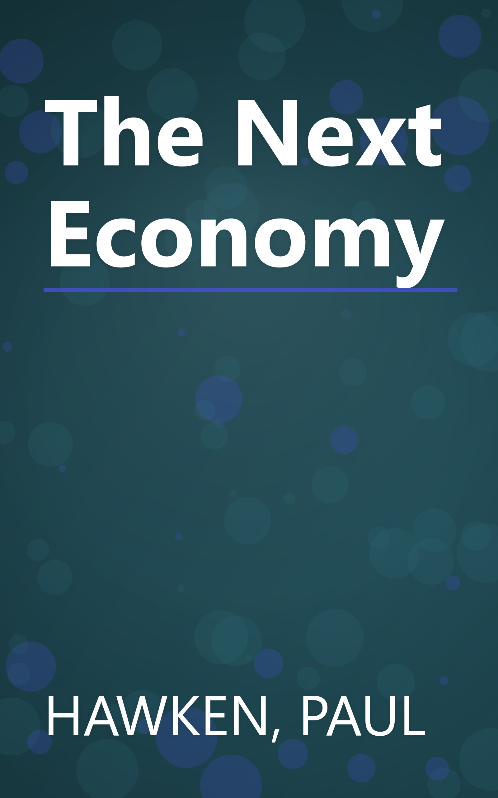The Next Economy book cover