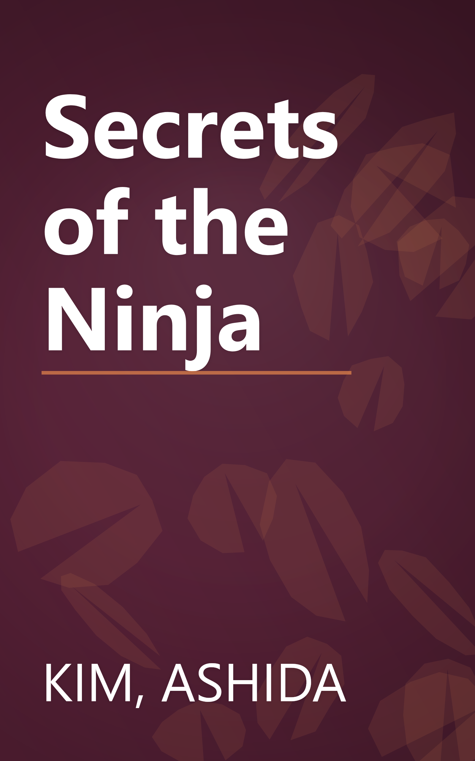 Secrets of the Ninja book cover