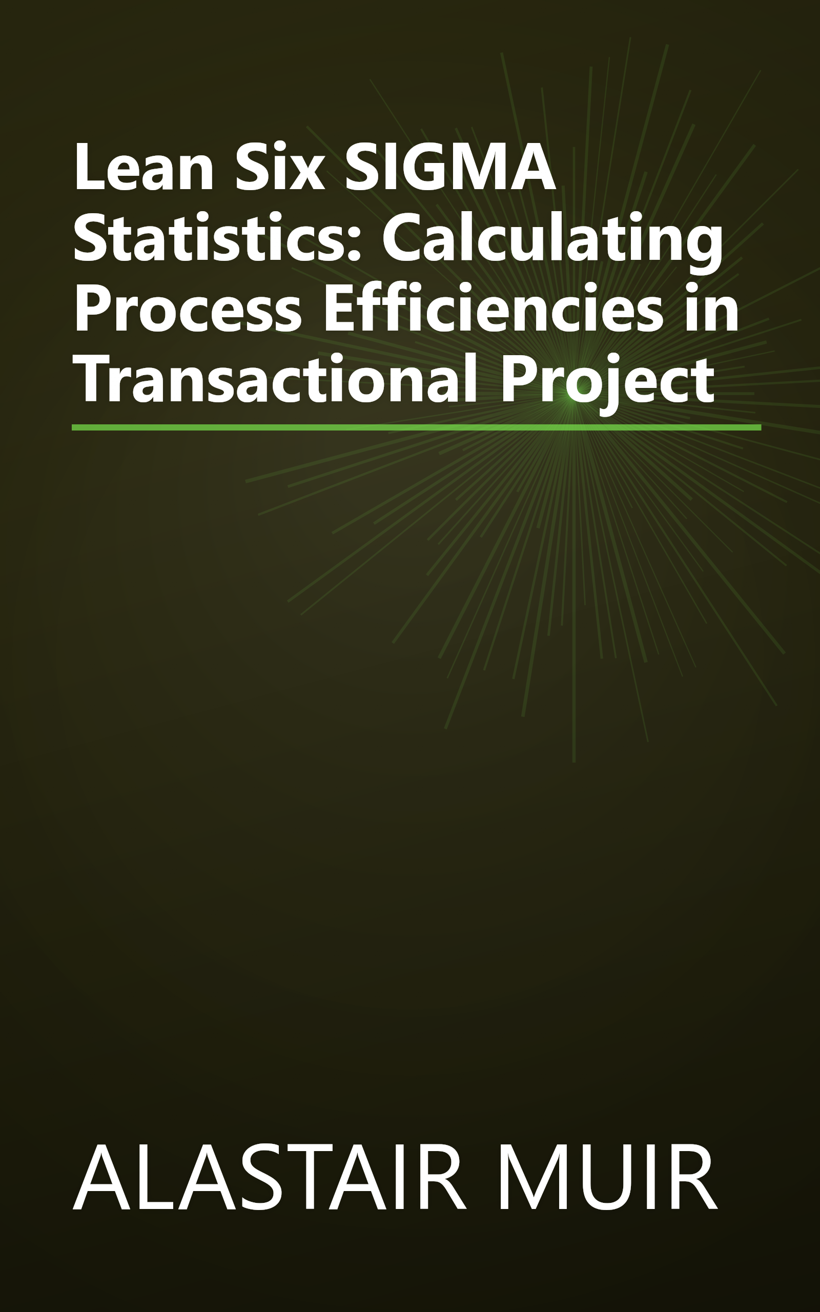 Lean Six SIGMA Statistics: Calculating Process Efficiencies in Transactional Project book cover