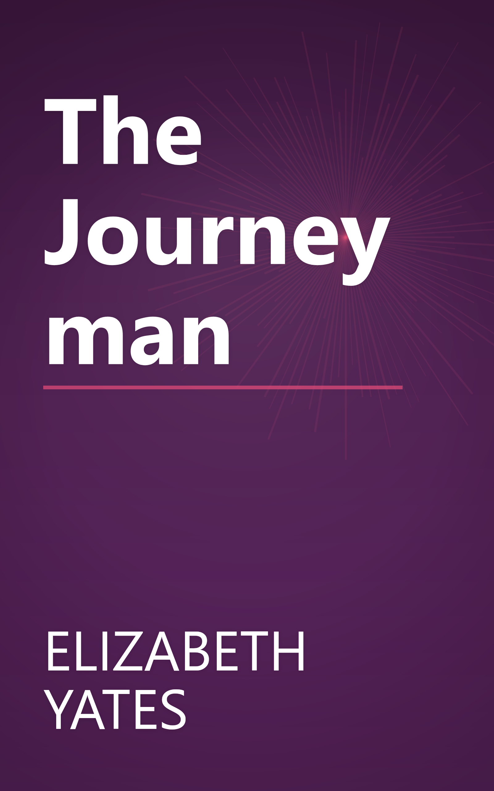 The Journeyman book cover