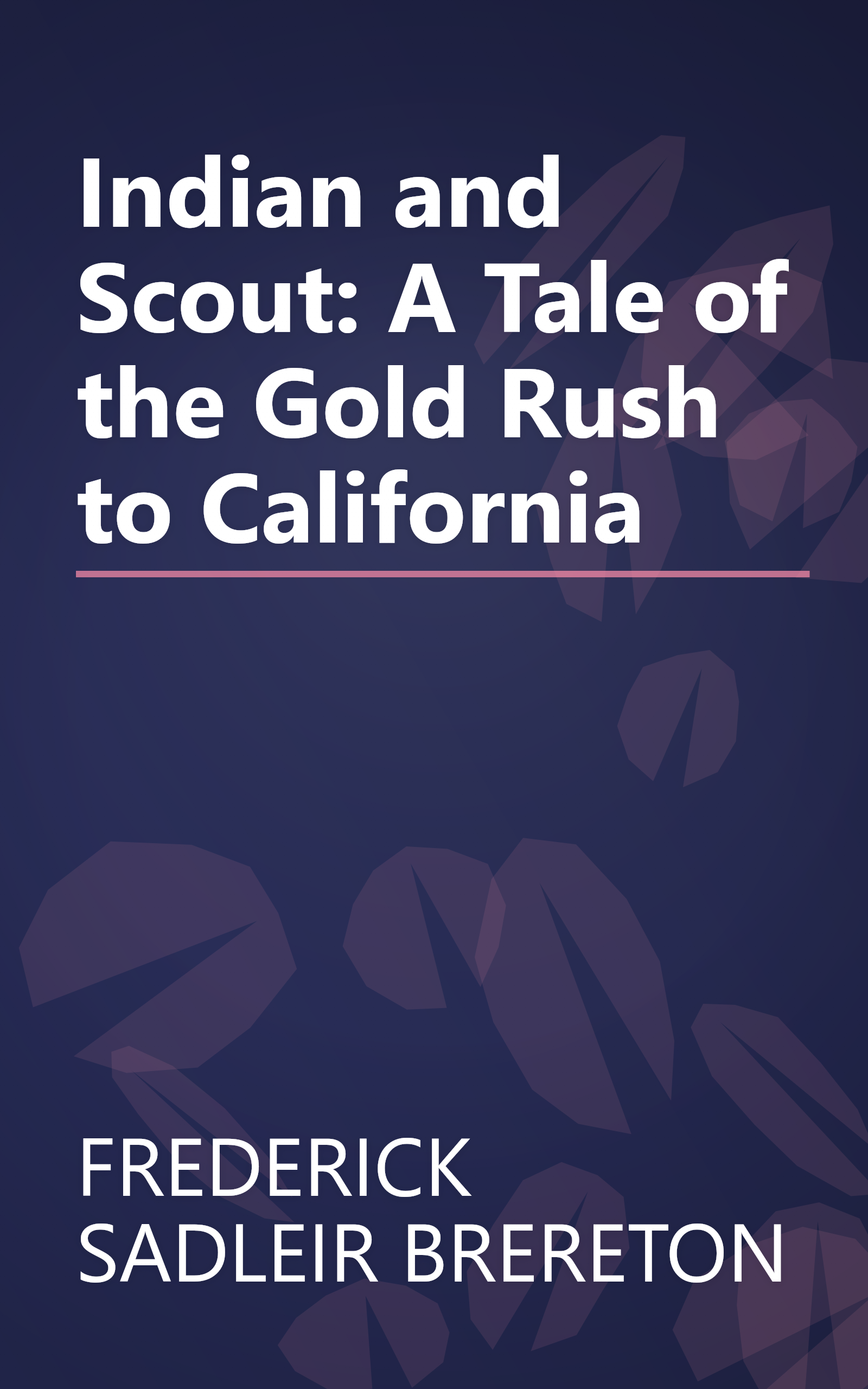 Indian and Scout: A Tale of the Gold Rush to California book cover