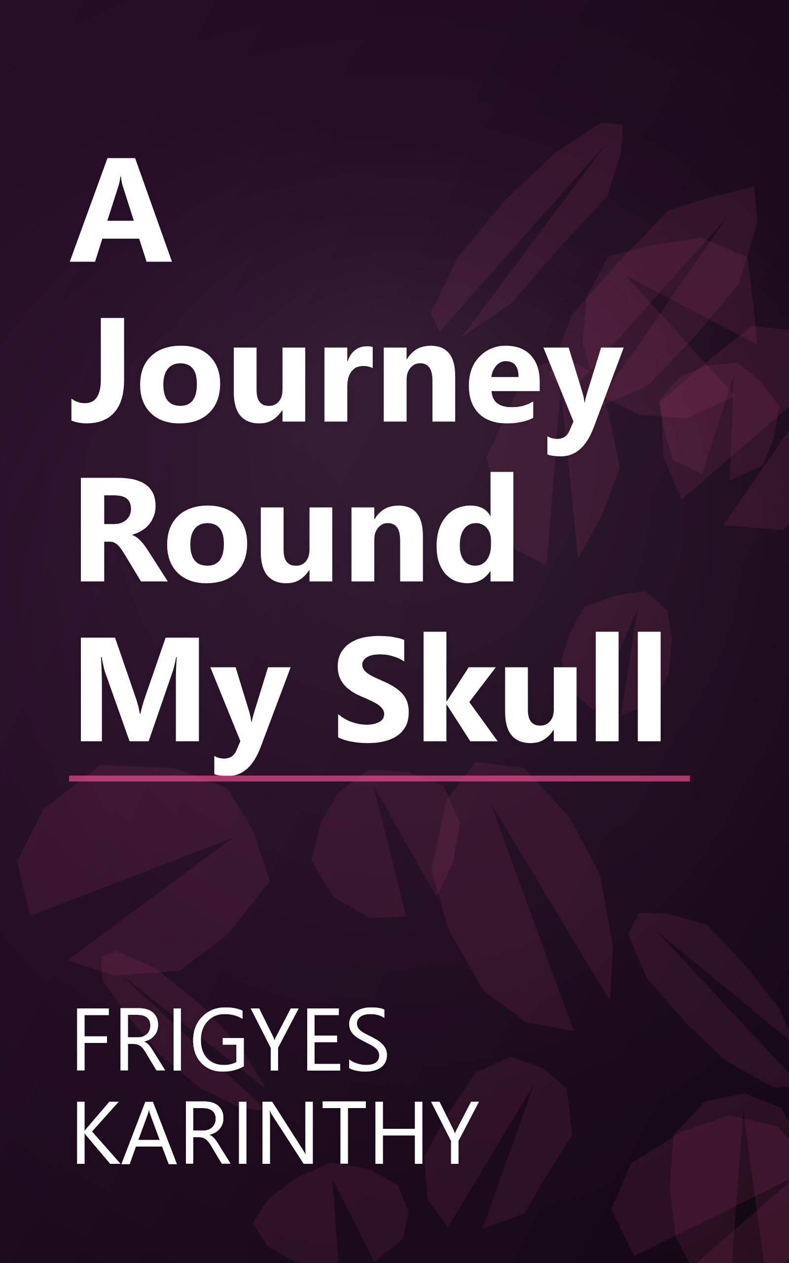 A Journey Round My Skull book cover
