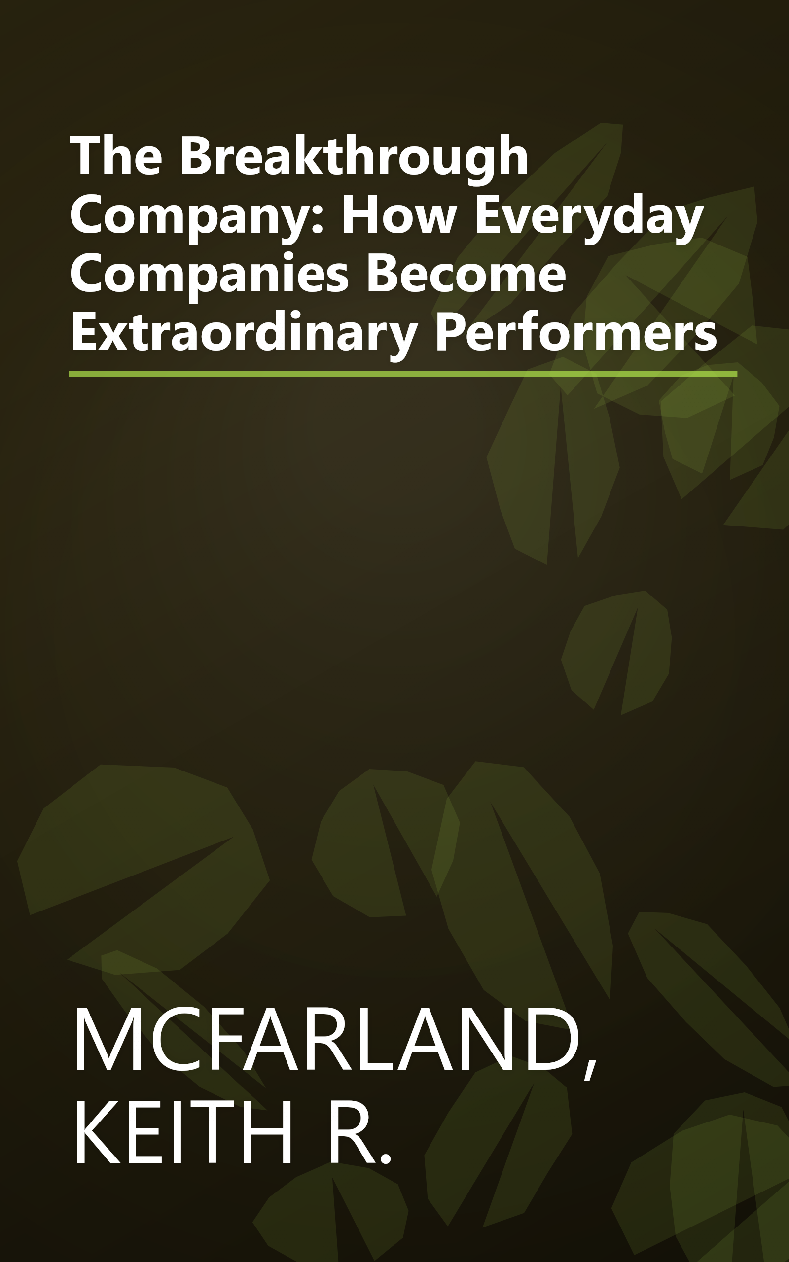 The Breakthrough Company: How Everyday Companies Become Extraordinary Performers book cover