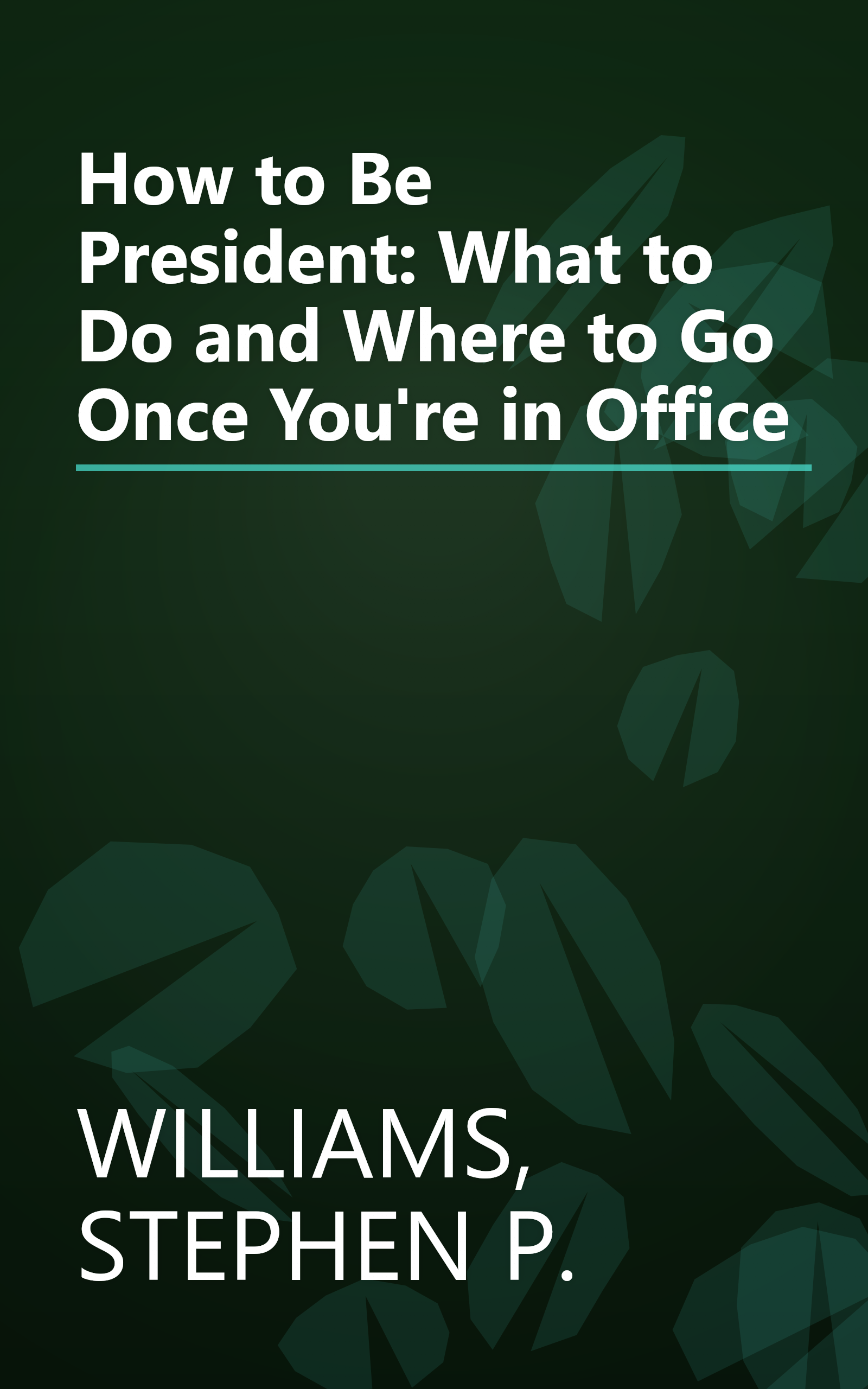 How to Be President: What to Do and Where to Go Once You're in Office book cover