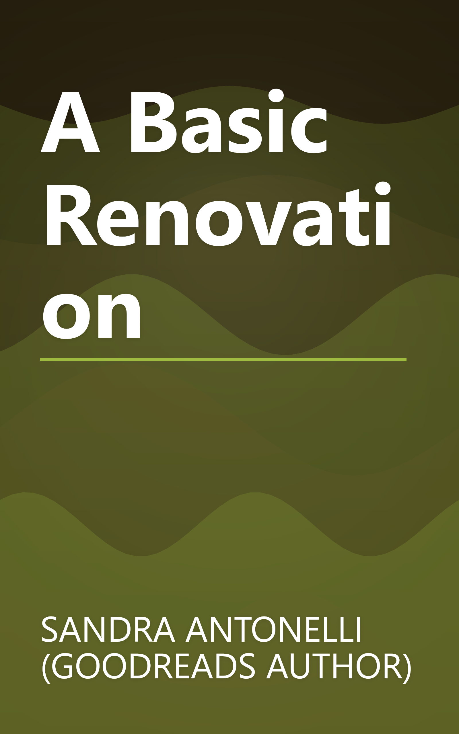 A Basic Renovation book cover