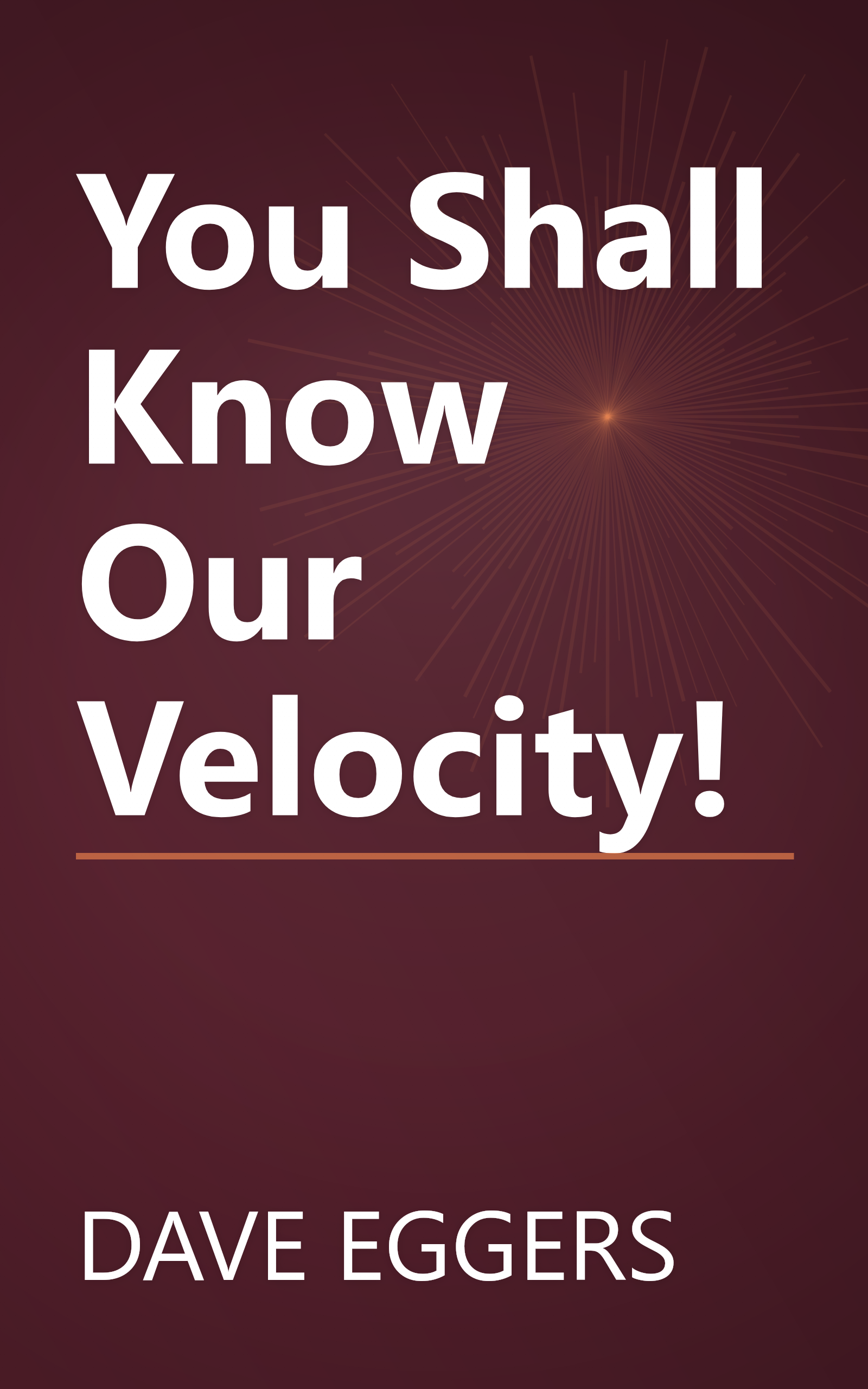 You Shall Know Our Velocity! book cover