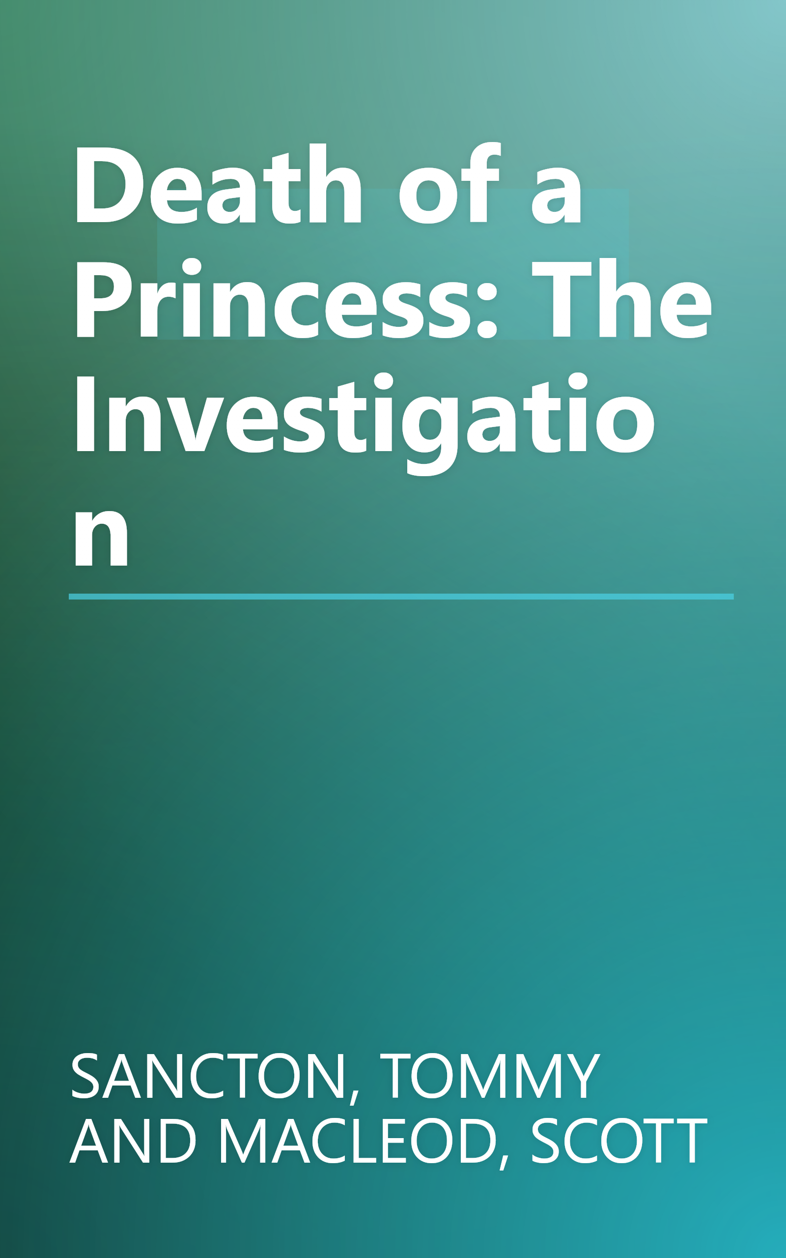Death of a Princess: The Investigation book cover