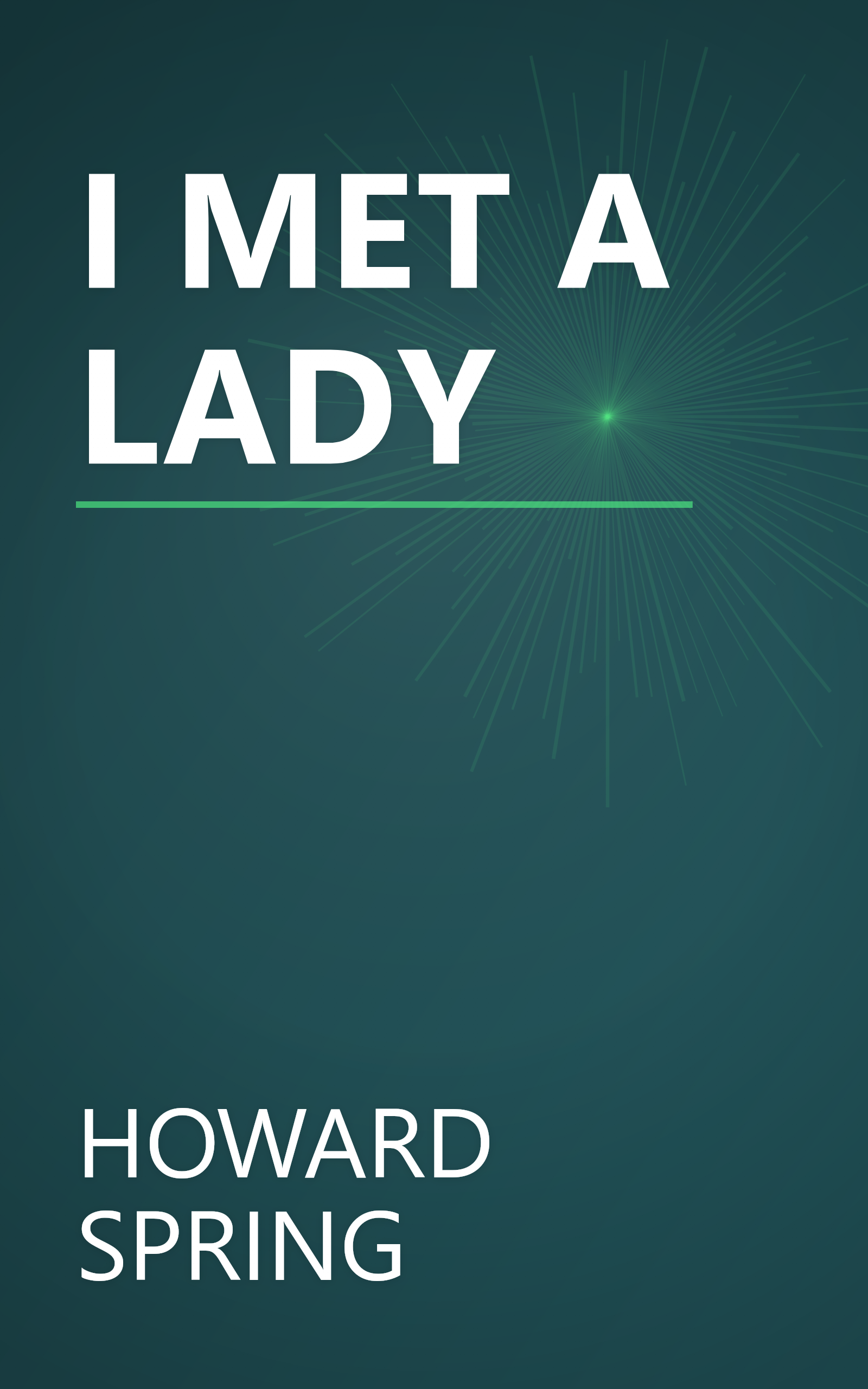 I MET A LADY book cover